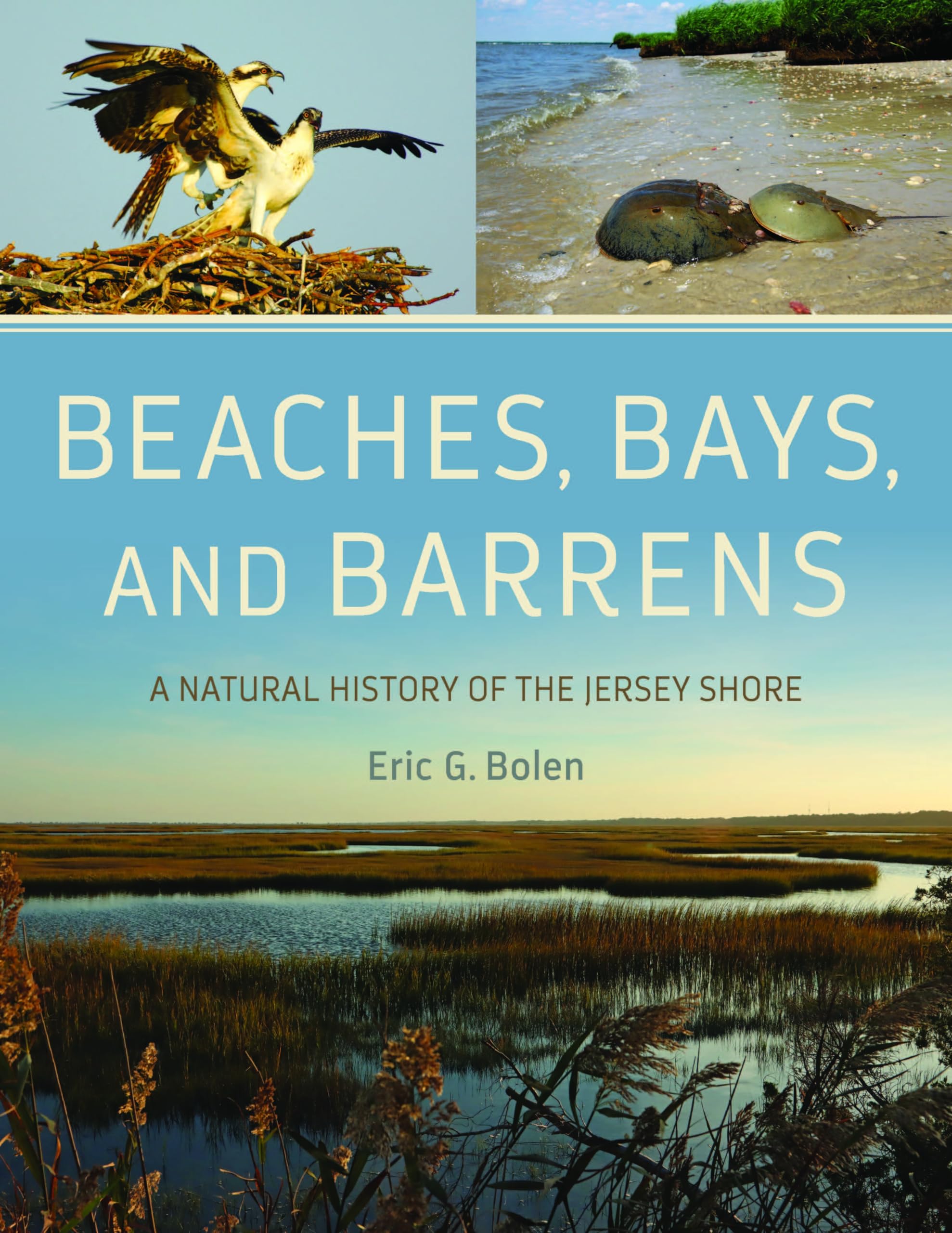 Amazon.com: Beaches, Bays, and Barrens: A Natural History of the Jersey ...