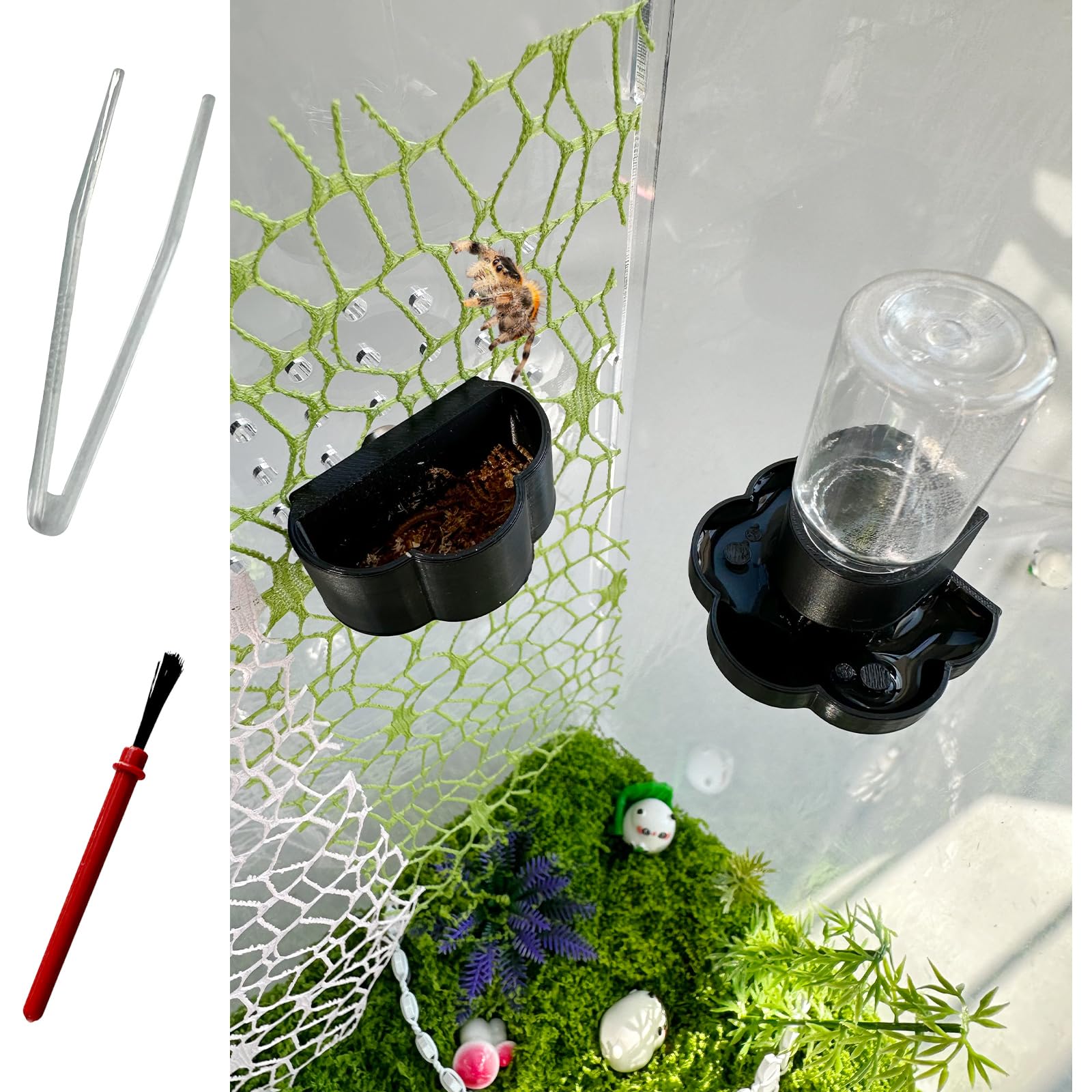 Amazon.com : Jumping Spider Water Dispenser, Magnetic Hanging Feeder ...