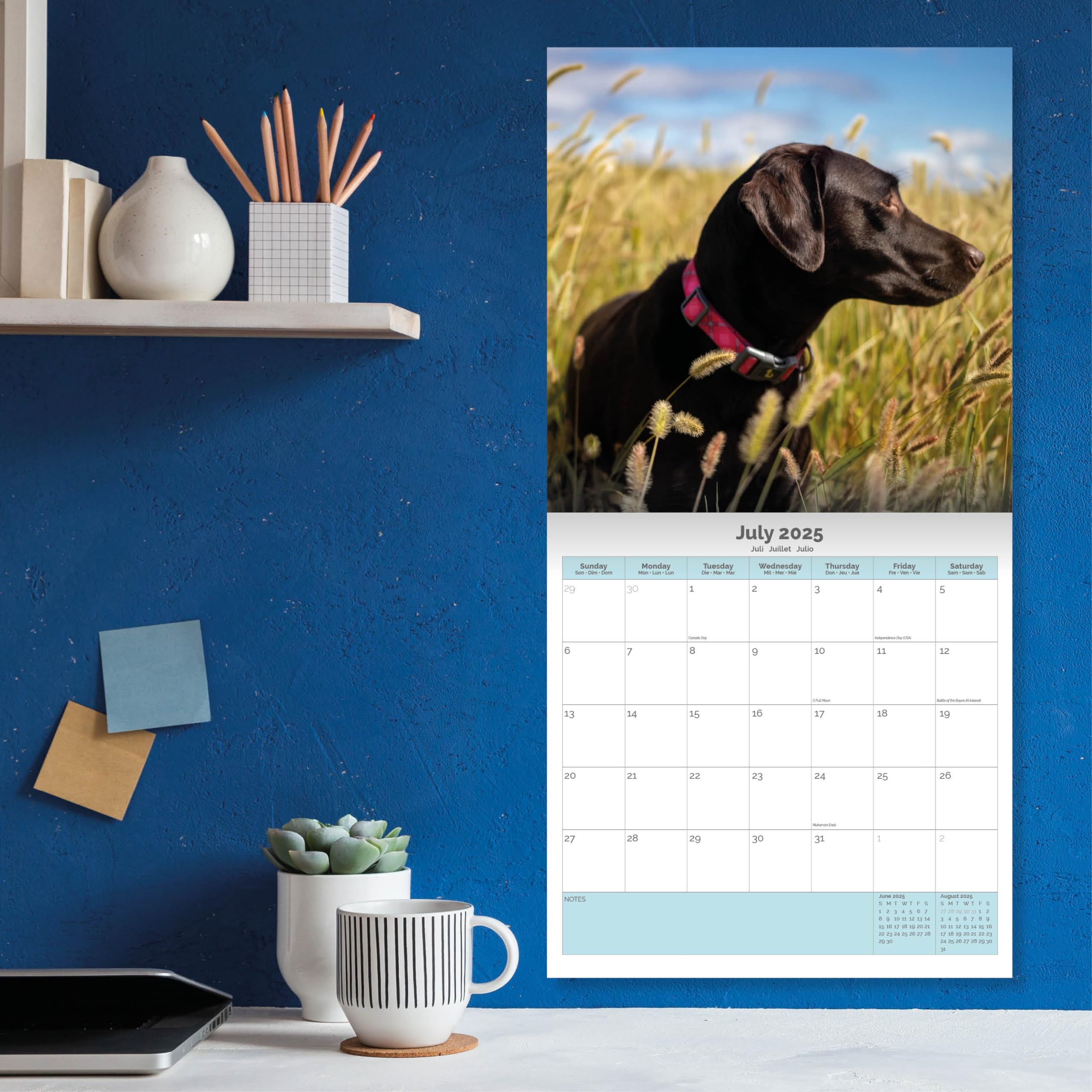 Baker and Bray Black Lab Calendar 2025, Large Square Wall Calendar, 16 ...