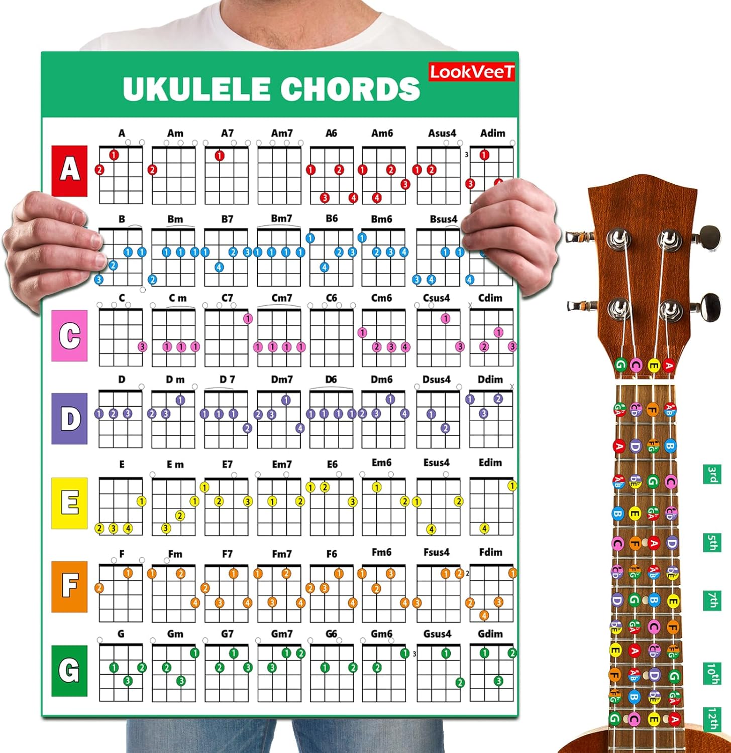 Amazon.com: LookVeeT Ukulele Chord Chart Poster For Beginner And ...