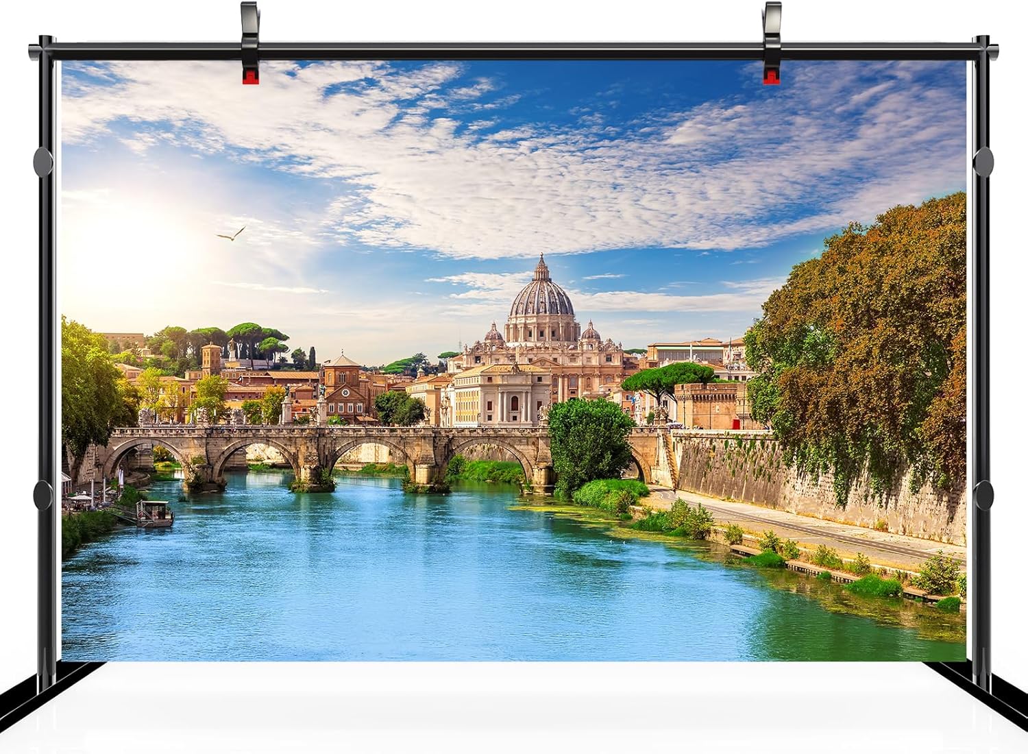 Amazon.com : CHNYWORK 5ftx4ft St Peter's Cathedral Backdrop Italy ...
