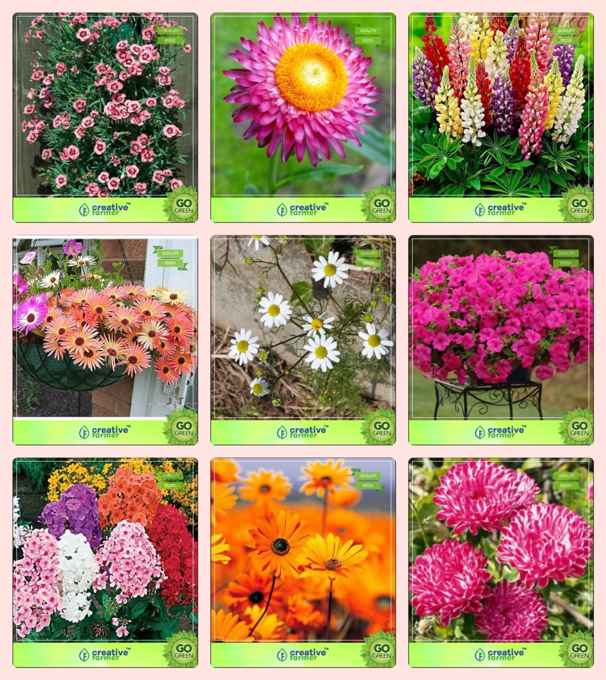 Creative Farmer Flower Seeds : Garden Flower Seeds Balcony Railing ...