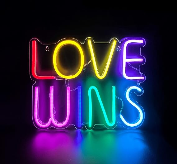 Love Wins Unique Neon Signs for Wall Decor，Powered by USB Neon Light ...