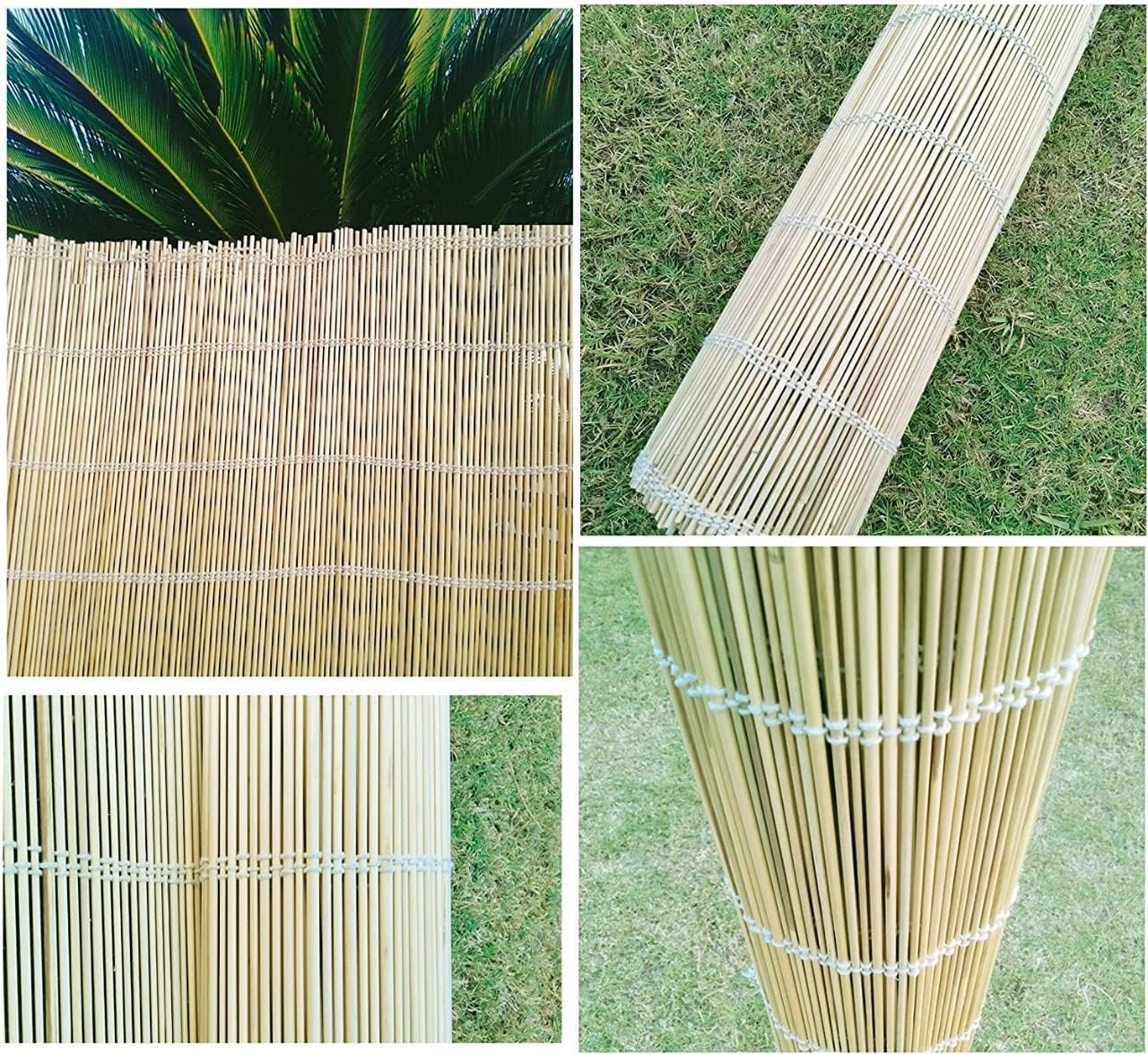 DREAMS VILLA Natural Peeled Reed Screening Roll Garden Screen Fence ...