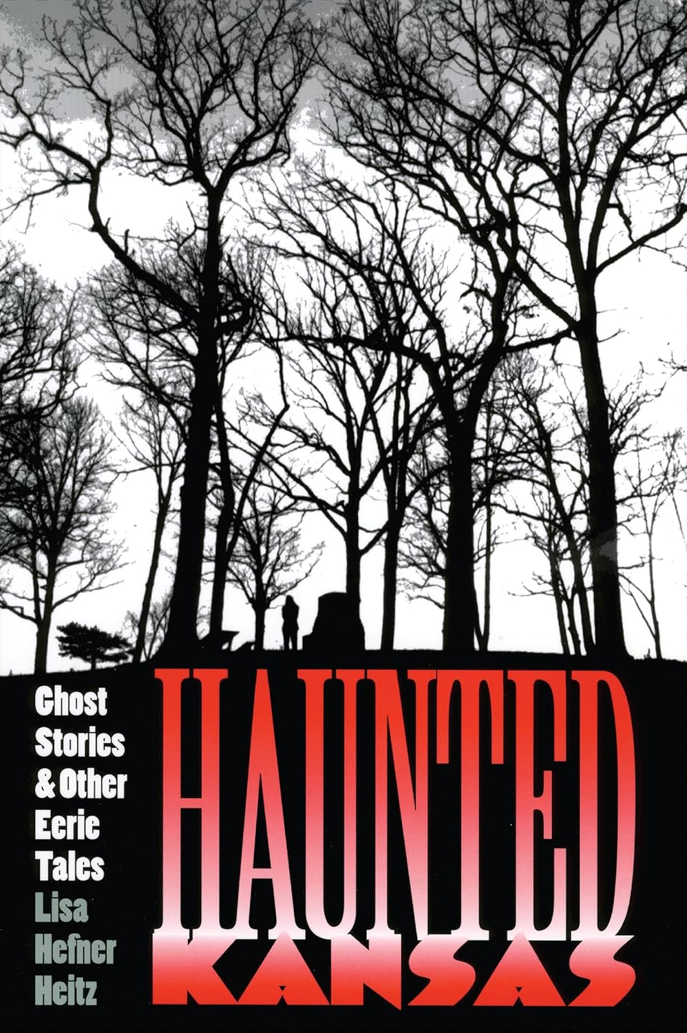 Haunted Kansas: Heitz, Lisa Hefner: 9780700609307: Amazon.com: Books