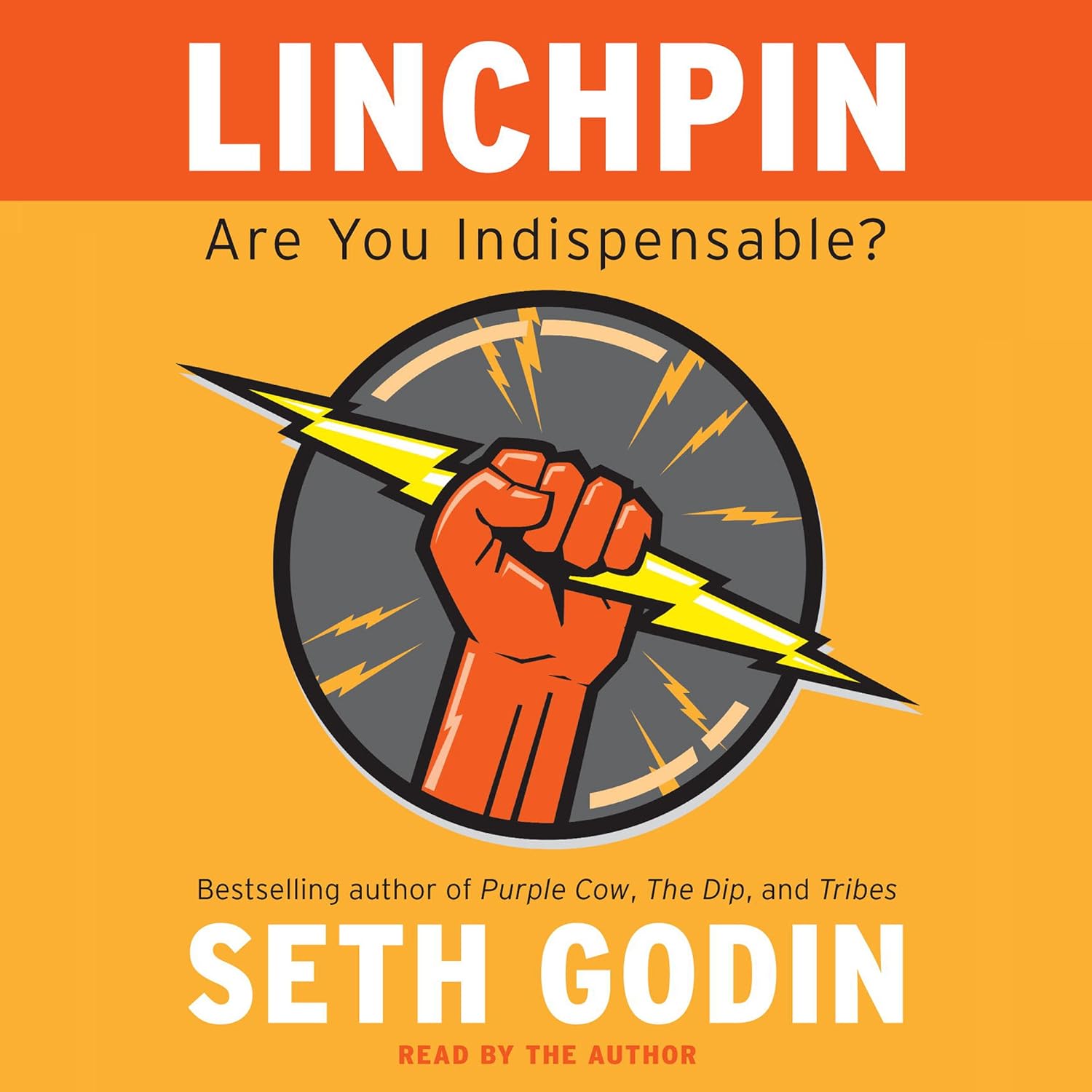 Amazon.com: Linchpin: Are You Indispensable? (Audible Audio Edition ...