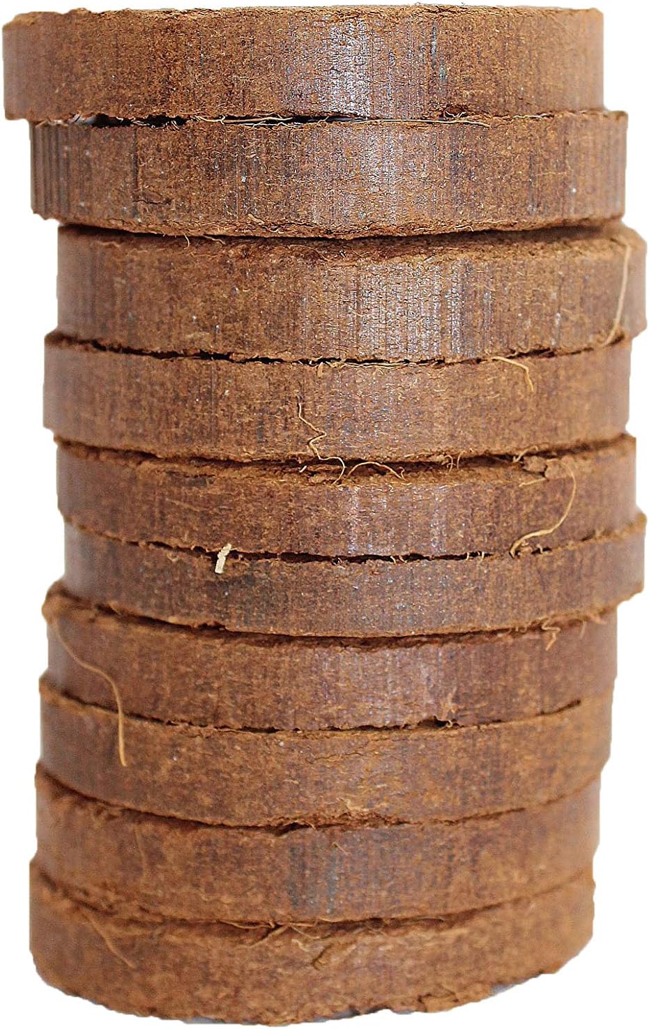 Amazon.com : Coco Coir Discs (40mm 50-Pack) - Organic Coco Coir Seed ...