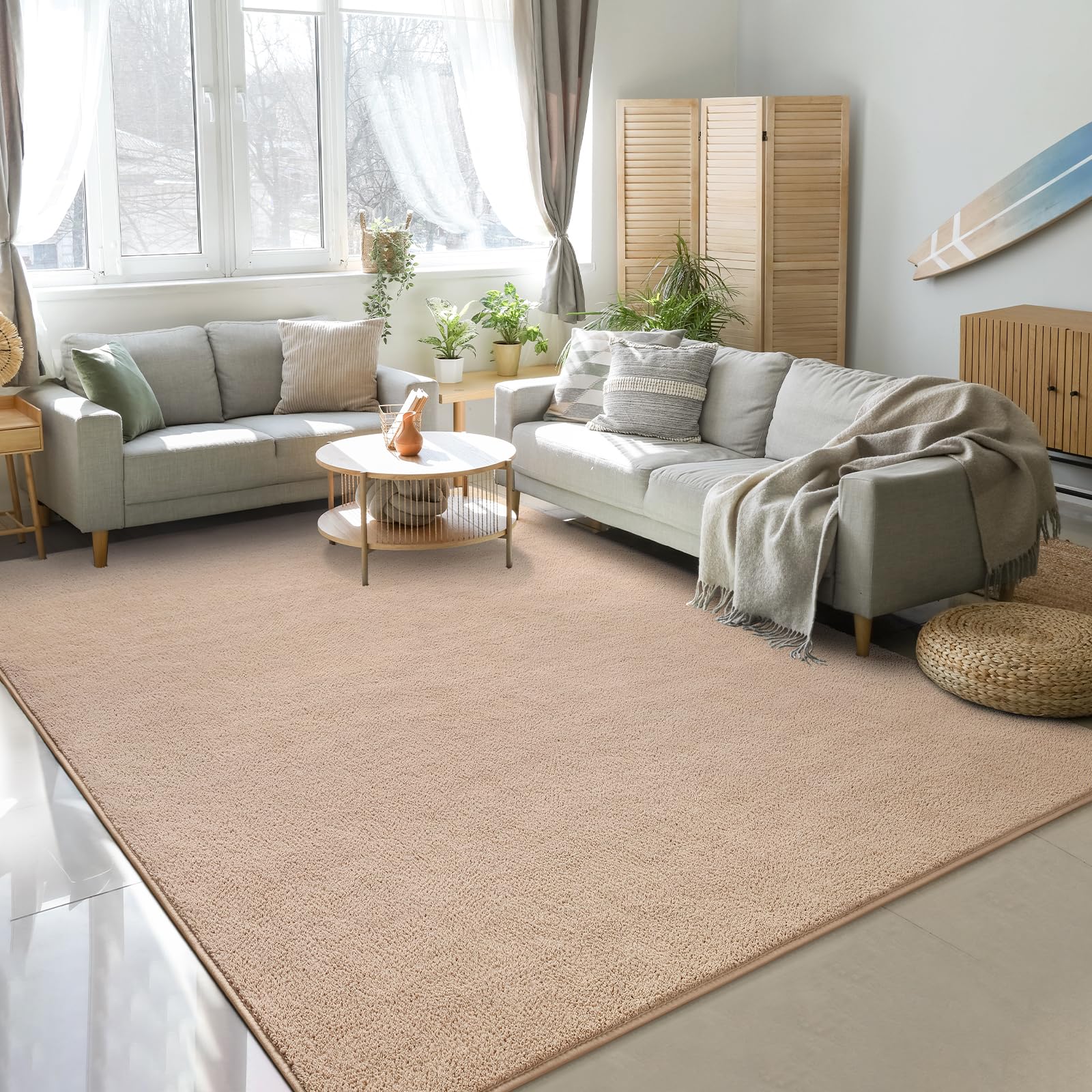 Amazon.com: B BENRON Washable Rugs for Living Room Minimalist Area Rugs ...
