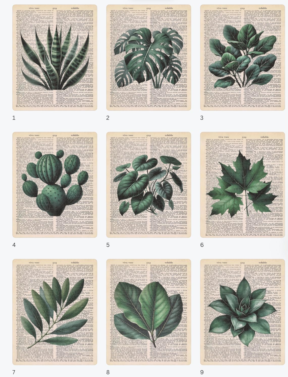 Amazon.com: 97 Decor Vintage Botanical Wall Art - Plant Posters For ...