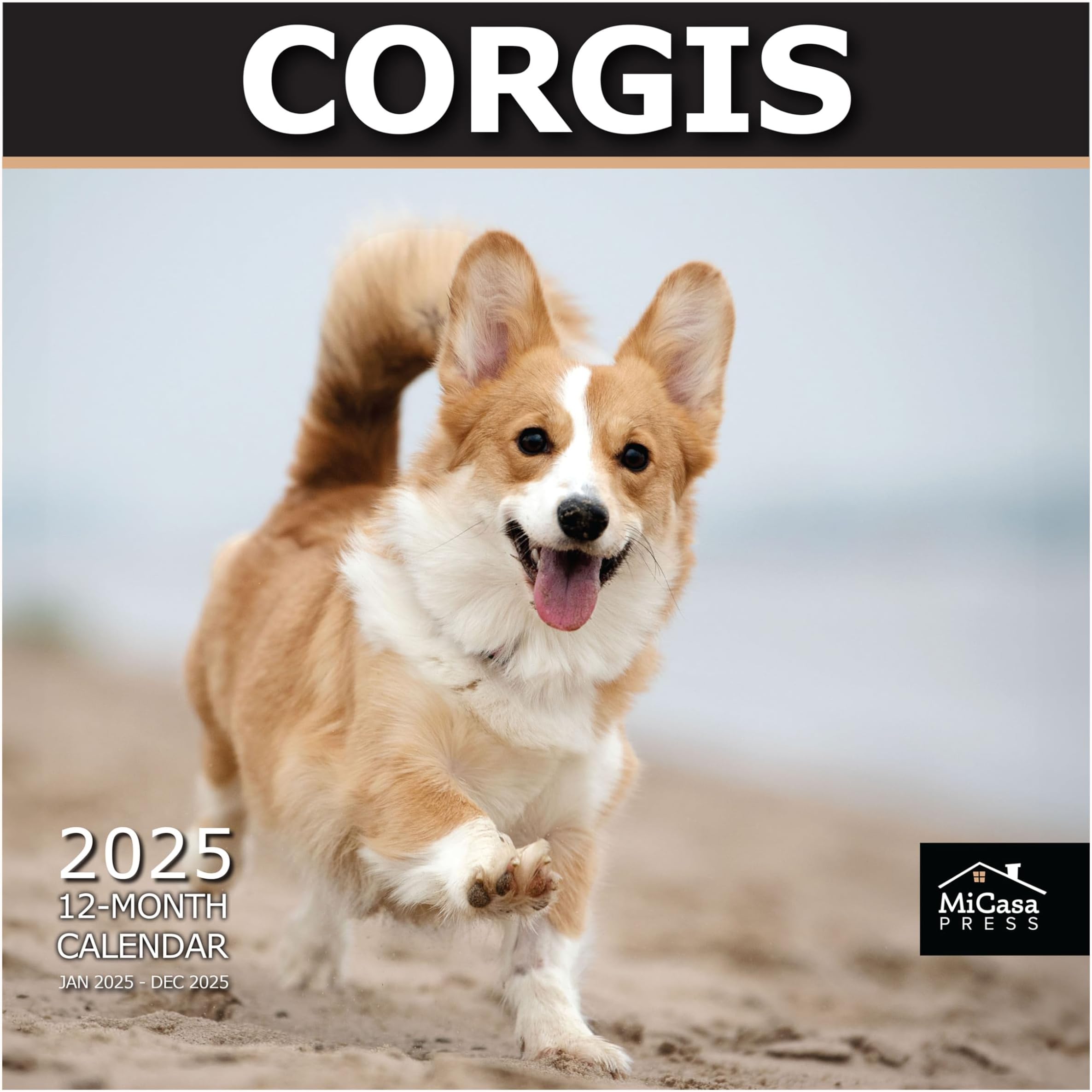 Amazon.com: Willow Creek Press, Just Corgis 2025 Wall Calendar : Willow ...