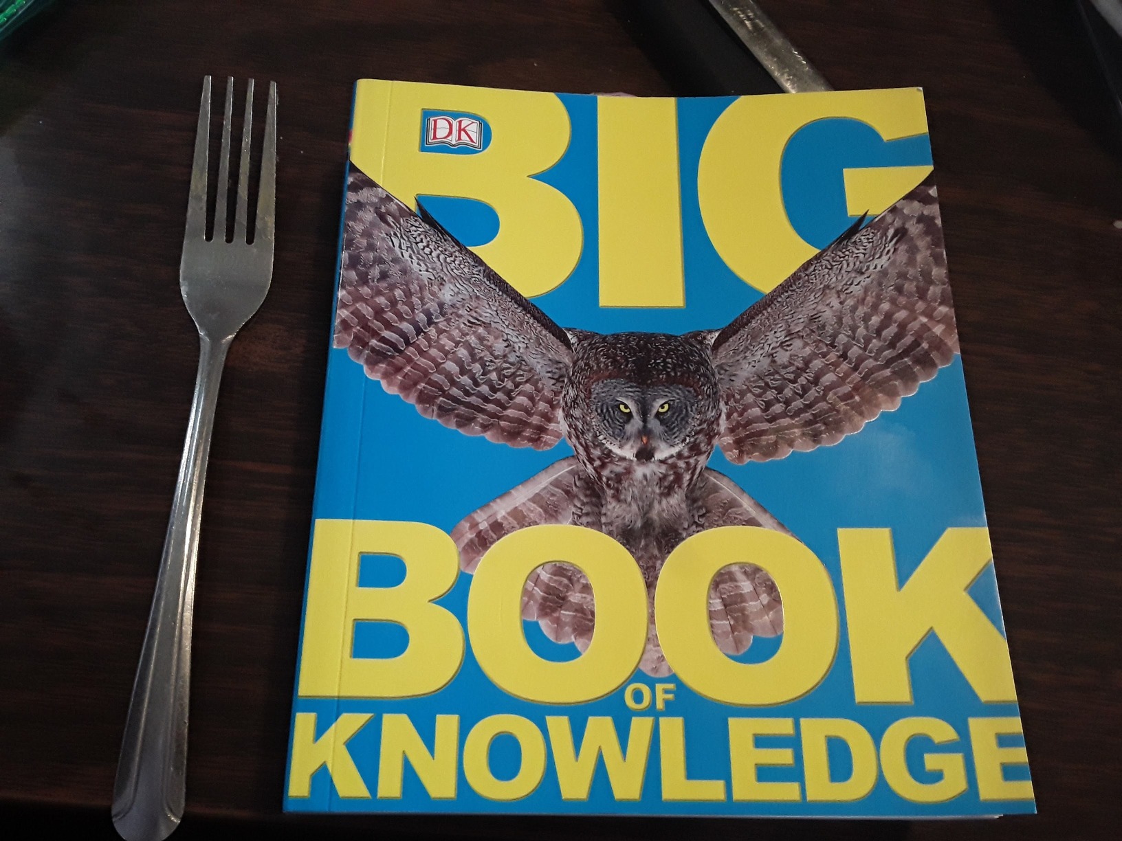 Big Book of Knowledge: DK: 9781465480415: Amazon.com: Books