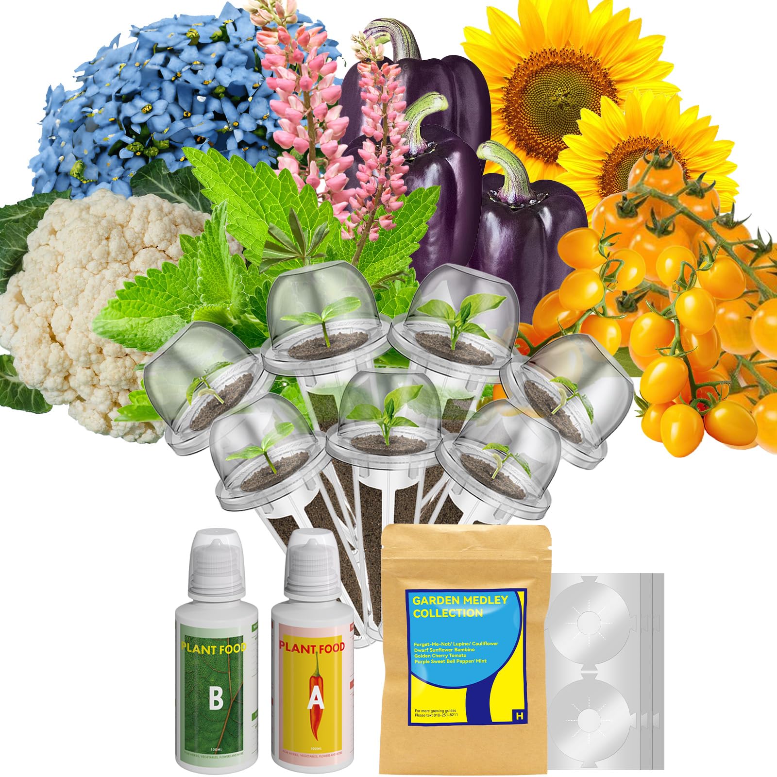 Amazon.com : inbloom Flower Seed Pod Kit for AeroGarden, idoo ...