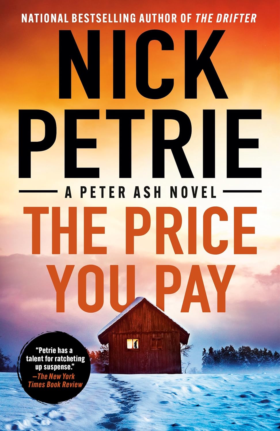 The Price You Pay (Peter Ash Book 8) - Kindle edition by Petrie, Nick ...