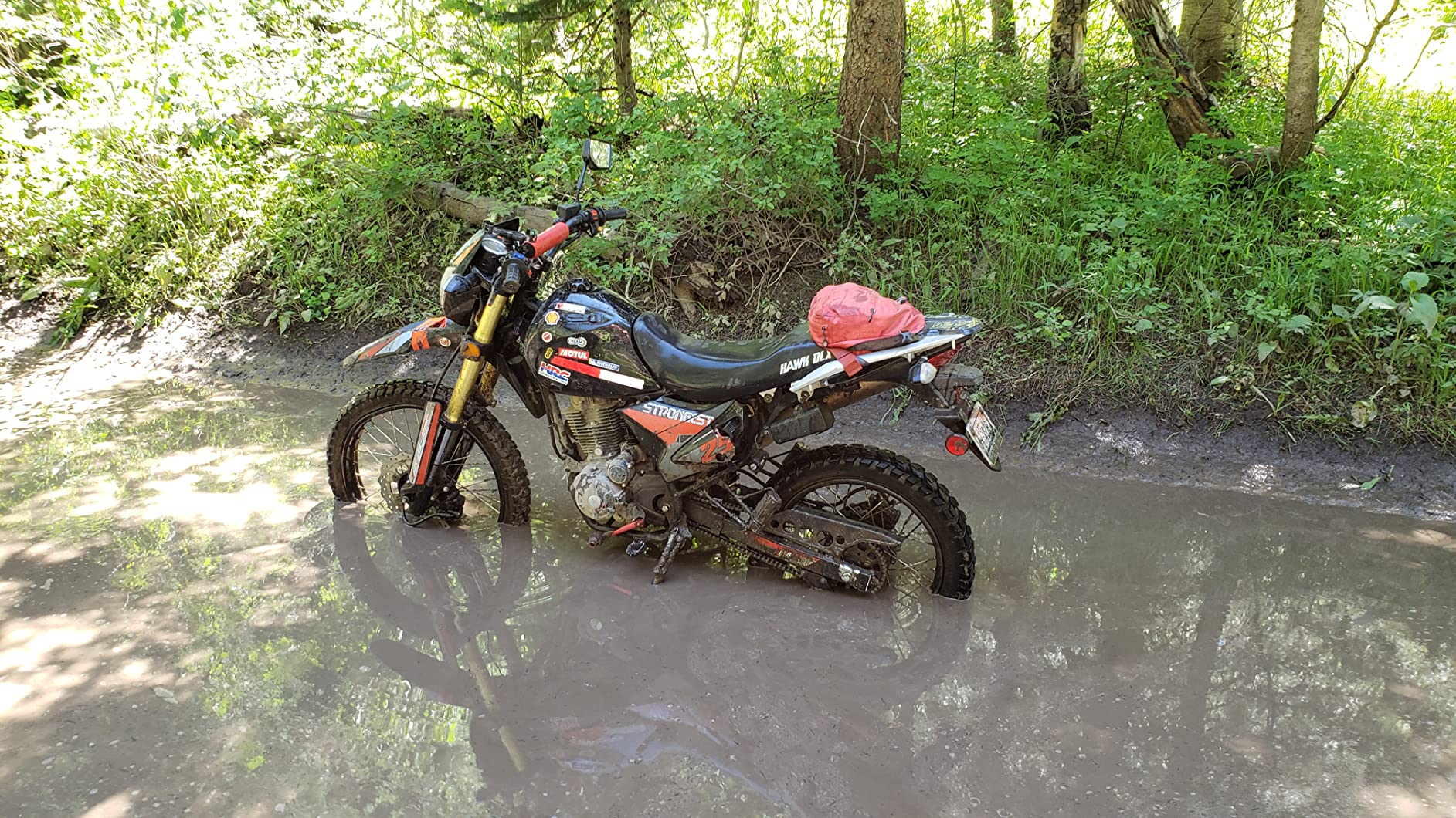 $73/mo - Finance X-PRO Hawk DLX 250 EFI Fuel Injection 250 Endure Dirt ...