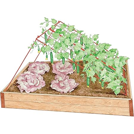 Amazon.com : Gardeners Supply Company Wire A-Frame Trellis | Strong and ...