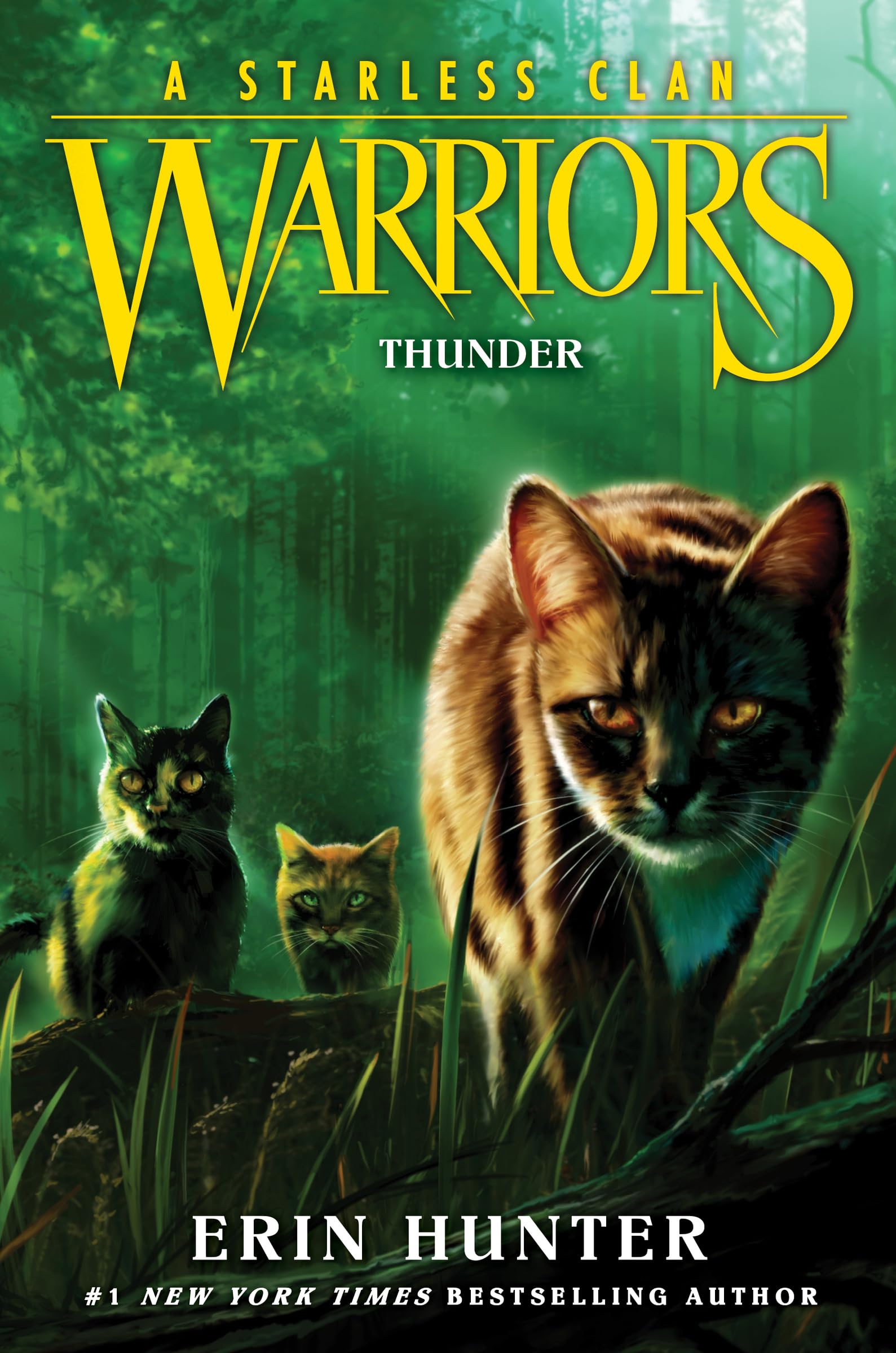 Warriors: A Starless Clan #4: Thunder: Hunter, Erin: 9780063050273 ...
