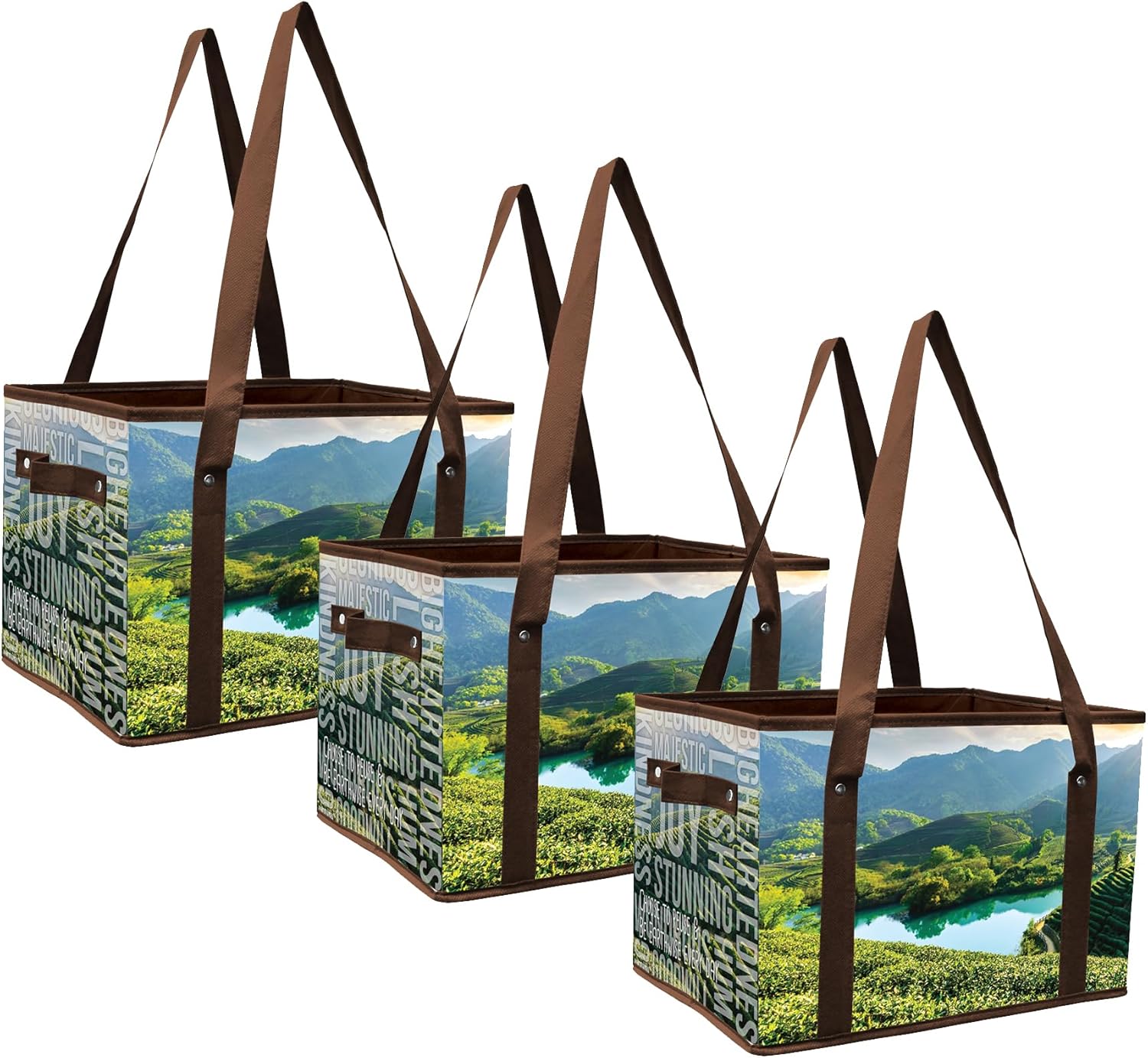 Amazon.com: Earthwise Reusable Grocery Bags Set Shopping Box with ...