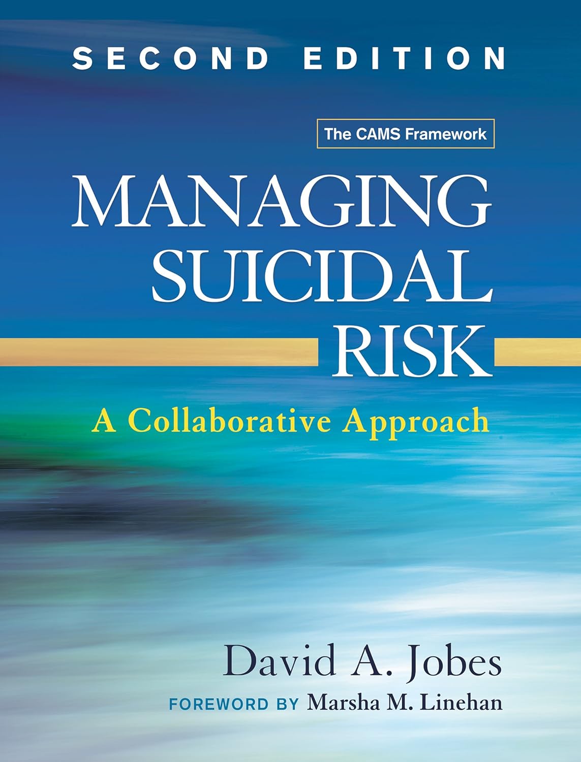 Managing Suicidal Risk: A Collaborative Approach: 9781462526901 ...