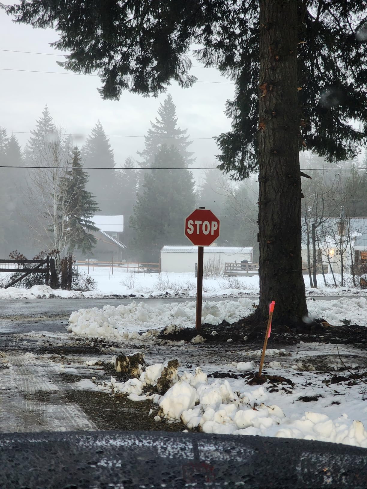 $27/mo - Finance OLANZU Stop Sign 30”x 30” - Pack of 3 Intensity ...