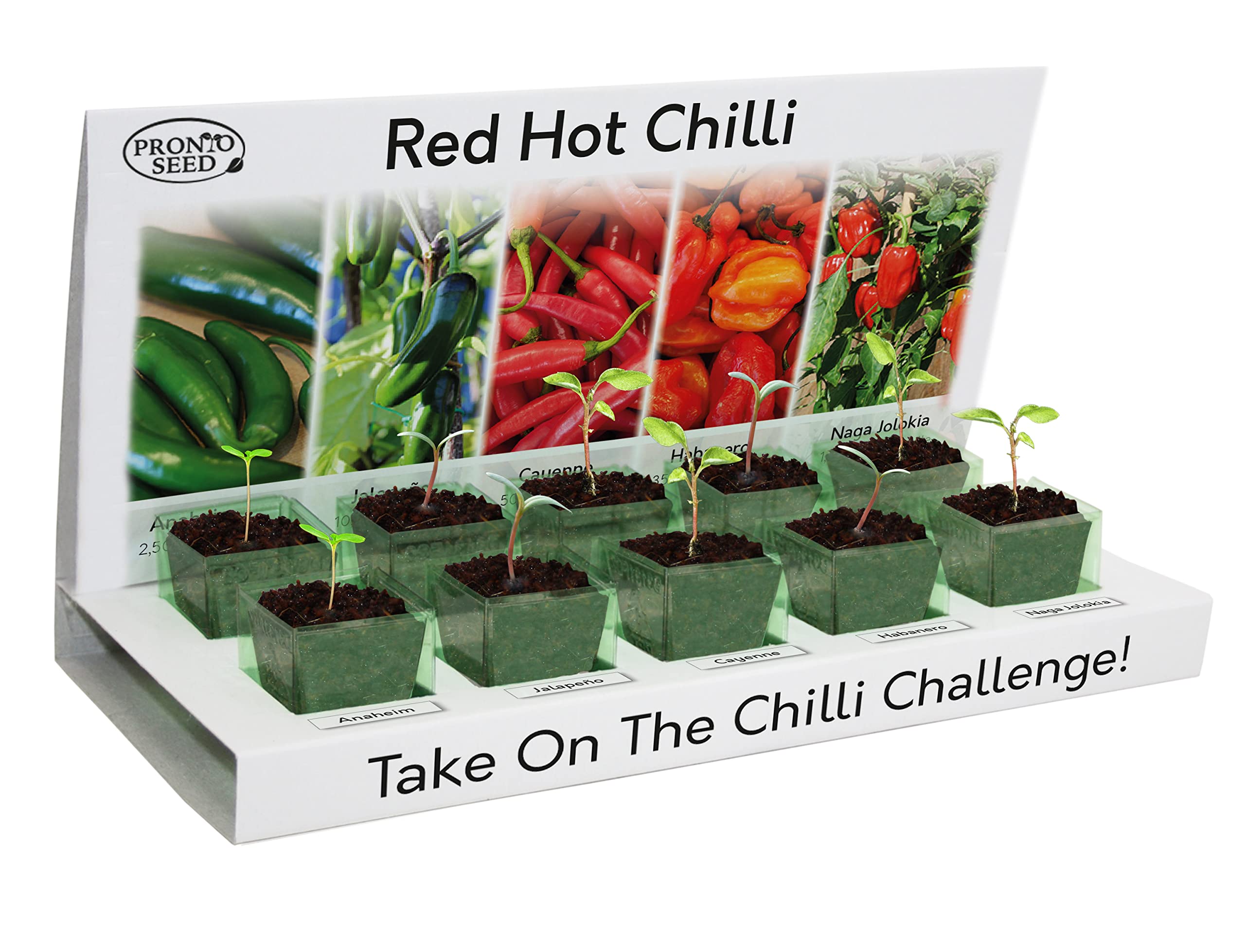 Buy Pronto Seed Grow at Home kit, Eco Friendly Packaging with 5 ...