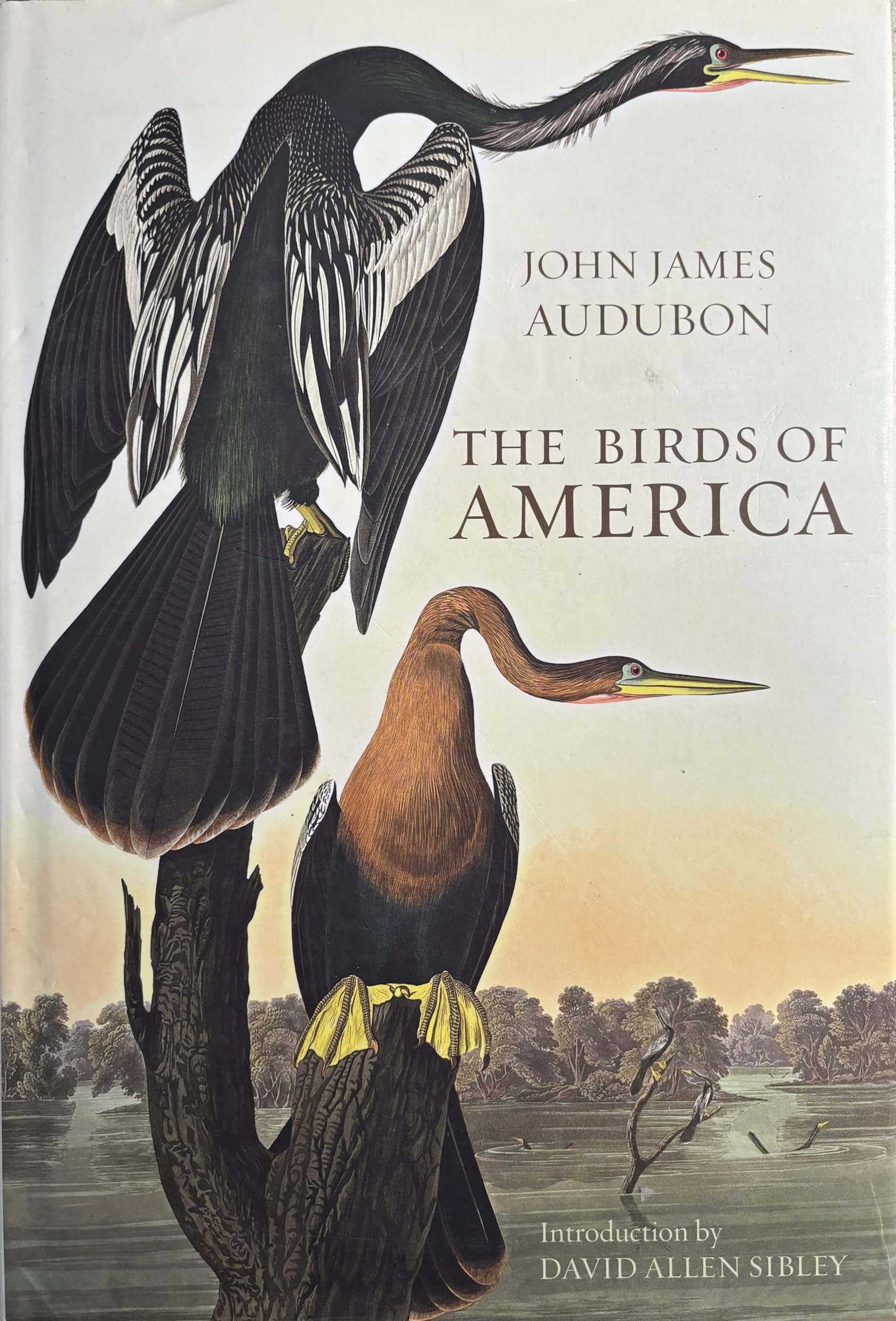 The Birds of America: John James Audubon, David Allen Sibley ...