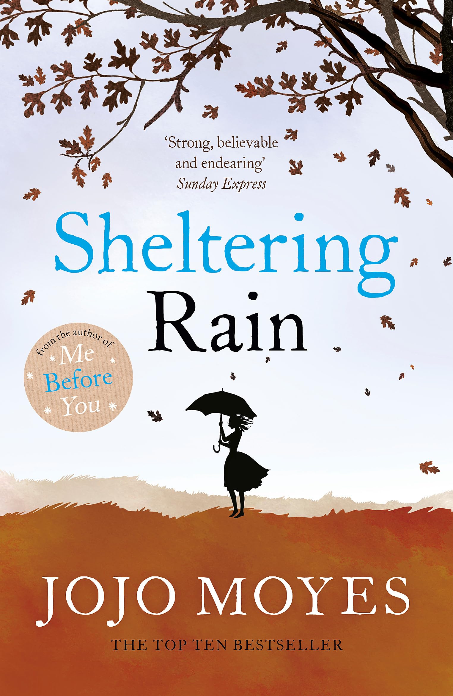 Sheltering Rain: the captivating and emotional novel from the author of ...