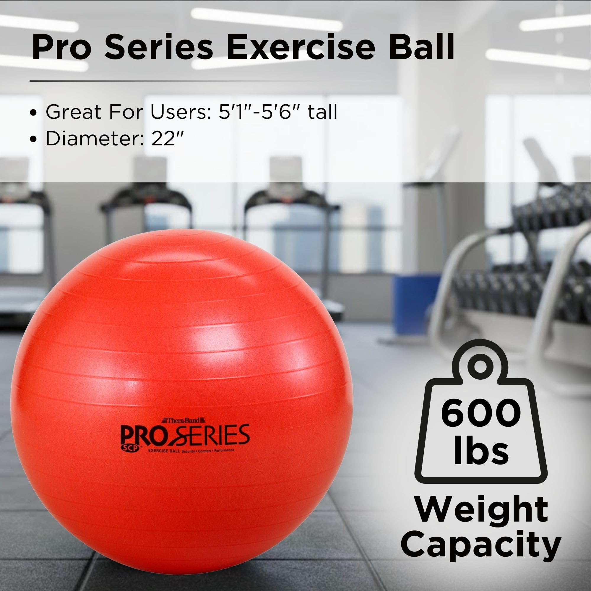 Snapklik.com : TheraBand - 23025 Exercise Ball, Professional Series ...