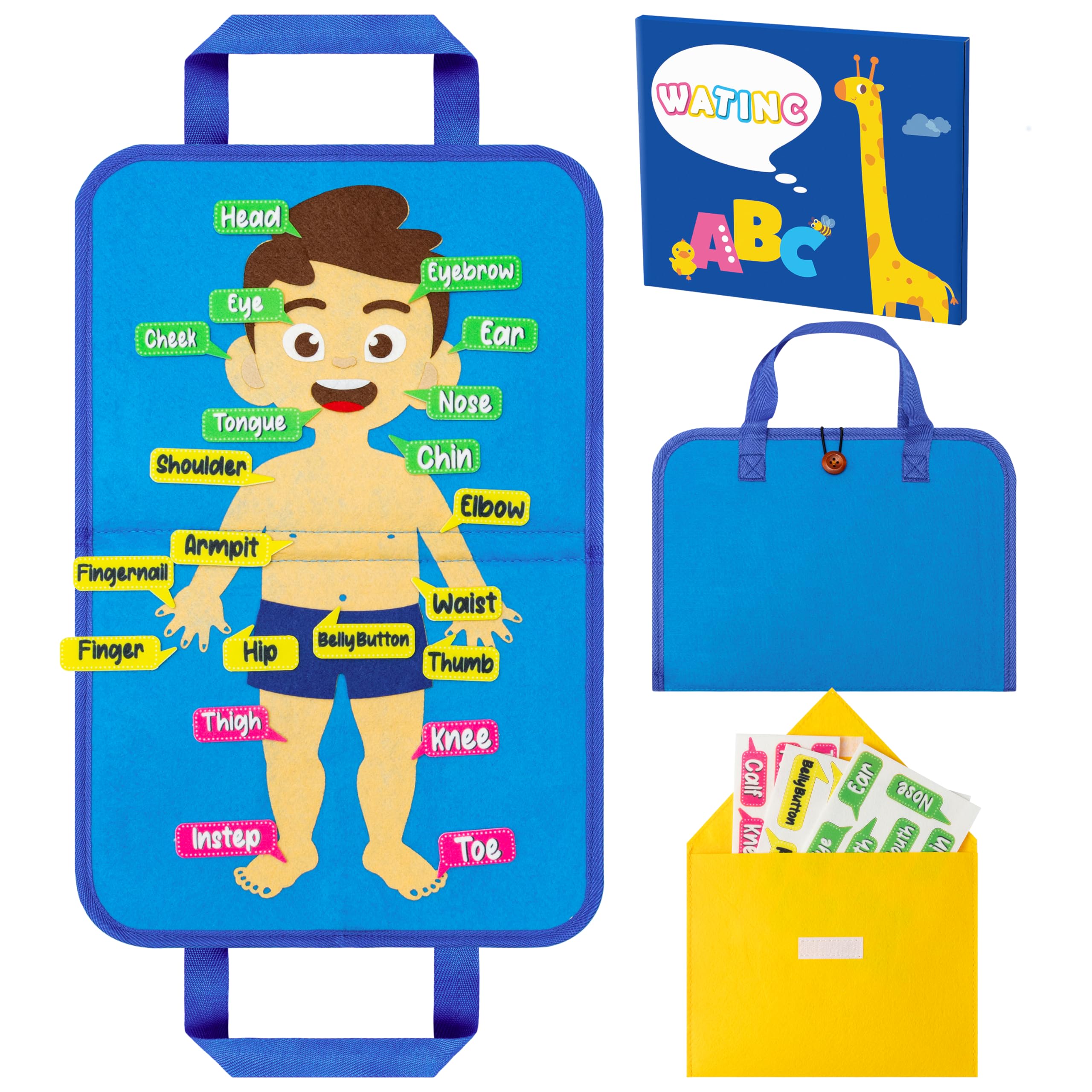 Amazon.com: WATINC 32Pcs Body Parts Learning Portable Felt Story Board ...