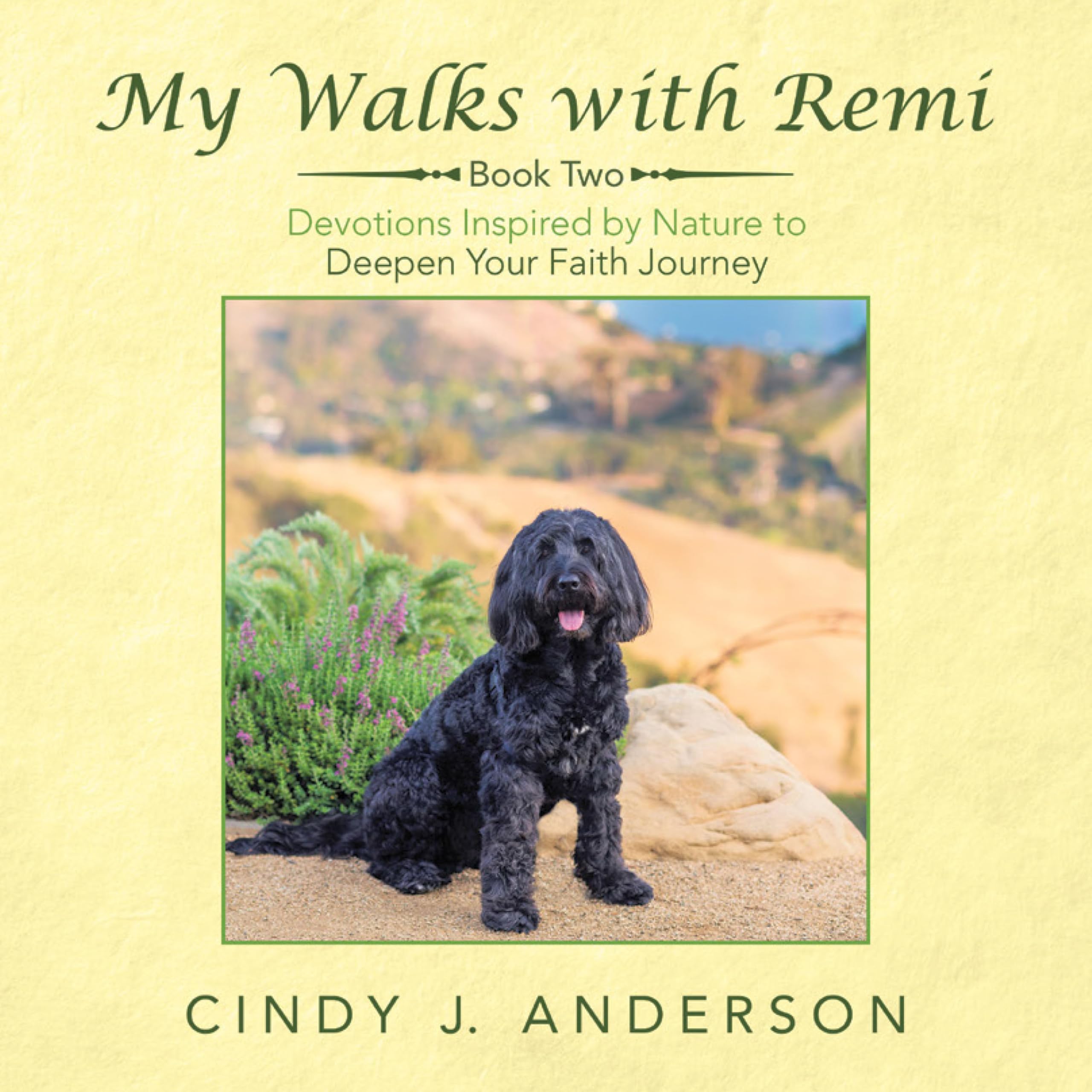 My Walks with Remi: Book Two - Devotions Inspired by Nature to Deepen ...