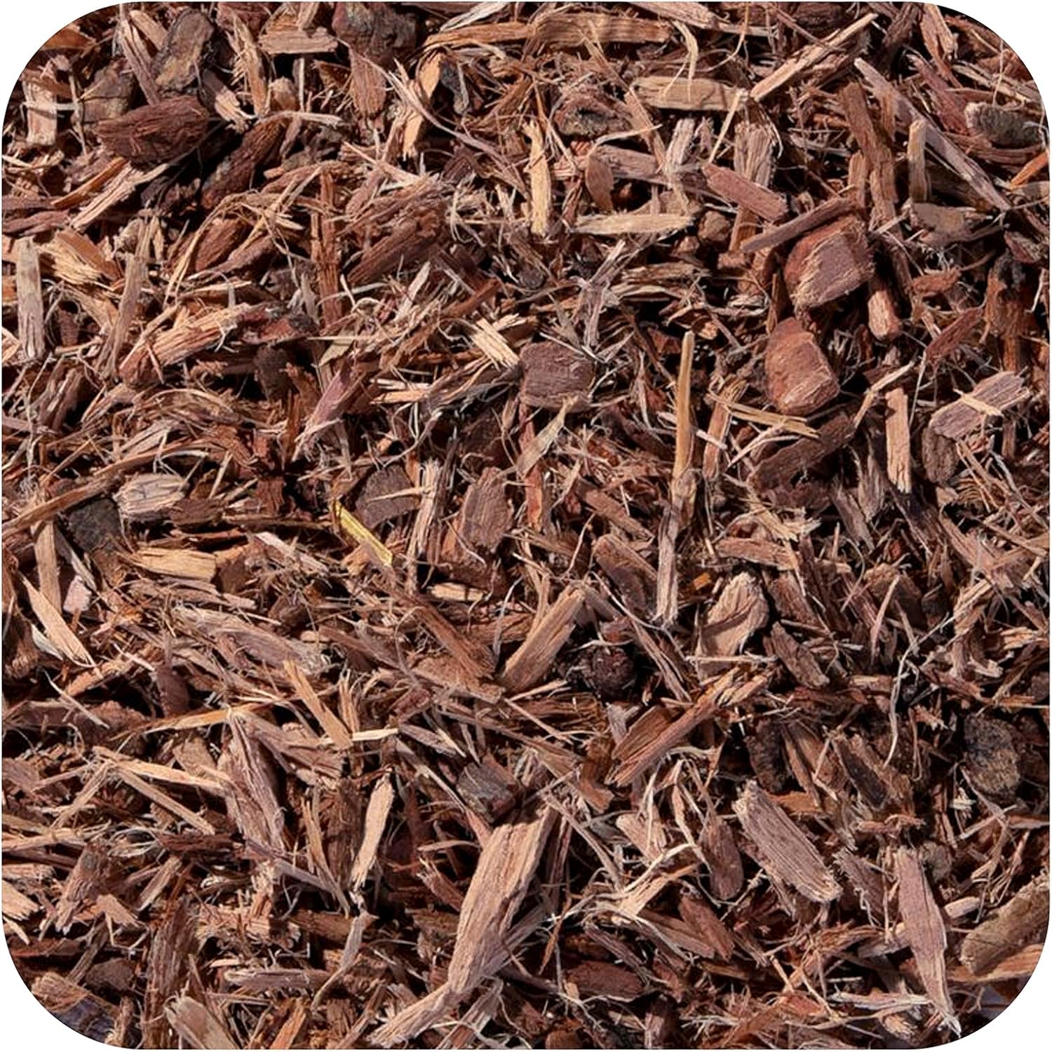 Amazon.com: Starwest Botanicals Organic White Willow Bark, Cut & Sifted ...