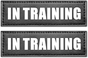 Amazon.com : WINSEE Service Dog Patches in Training Patch for Service ...
