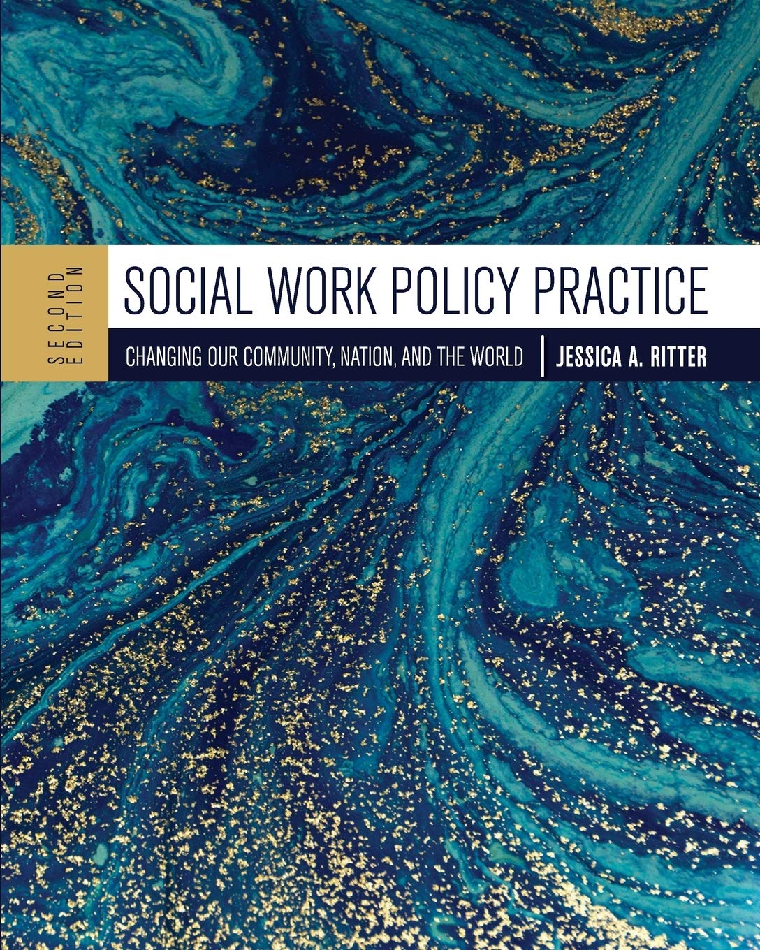 Social Work Policy Practice: Changing Our Community, Nation, and the ...