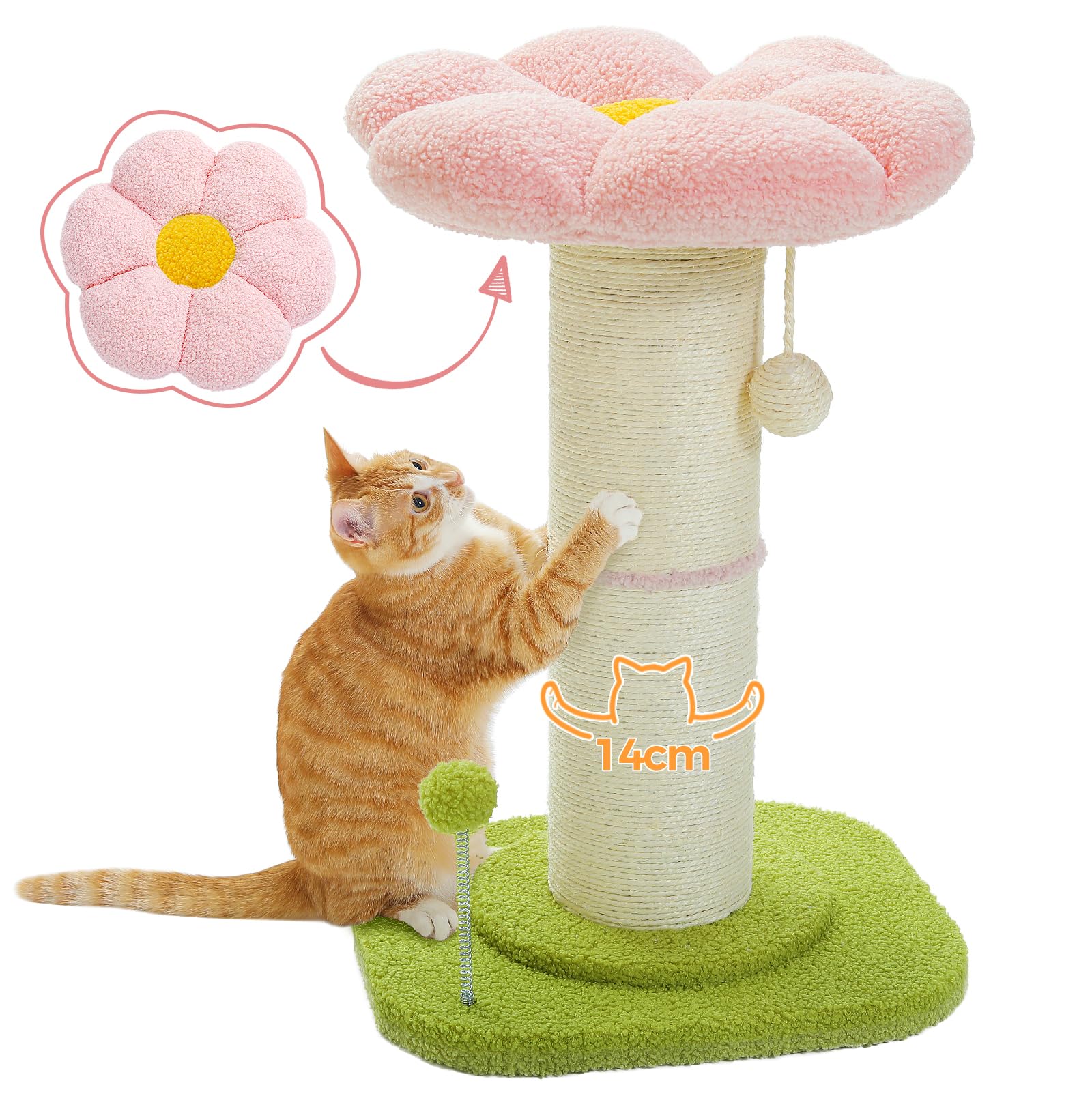 PAWZ Road Flower Cat Scratching Post, Small Cat Tree, Tall Cat ...
