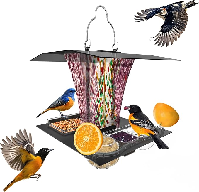 Amazon.com: LUJII 6-in-1 Solar Bird Feeder with RGB String Lights, Hand ...