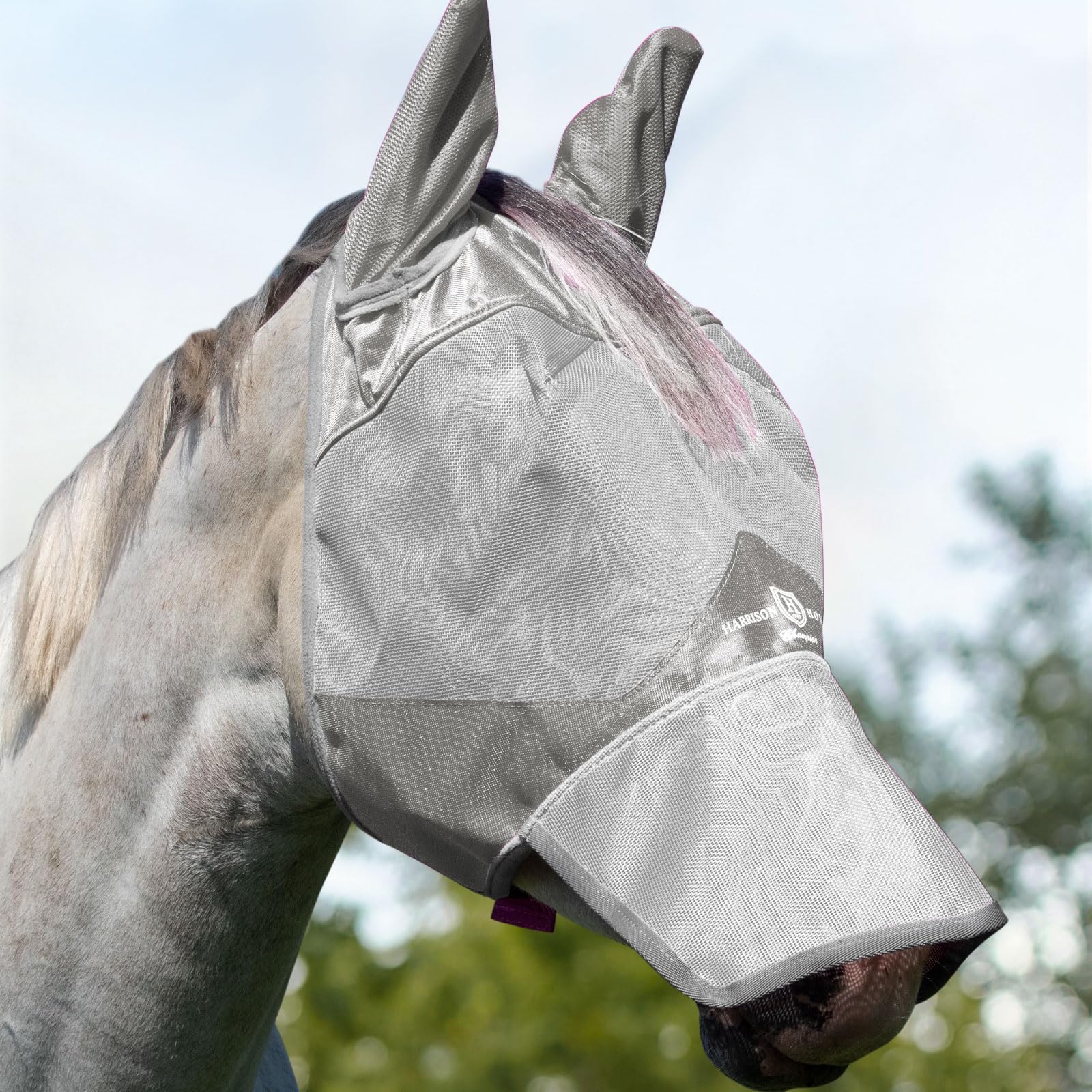 Amazon.com: Cashel Crusader Mule Fly Mask, Long Nose with Ears (Grey ...