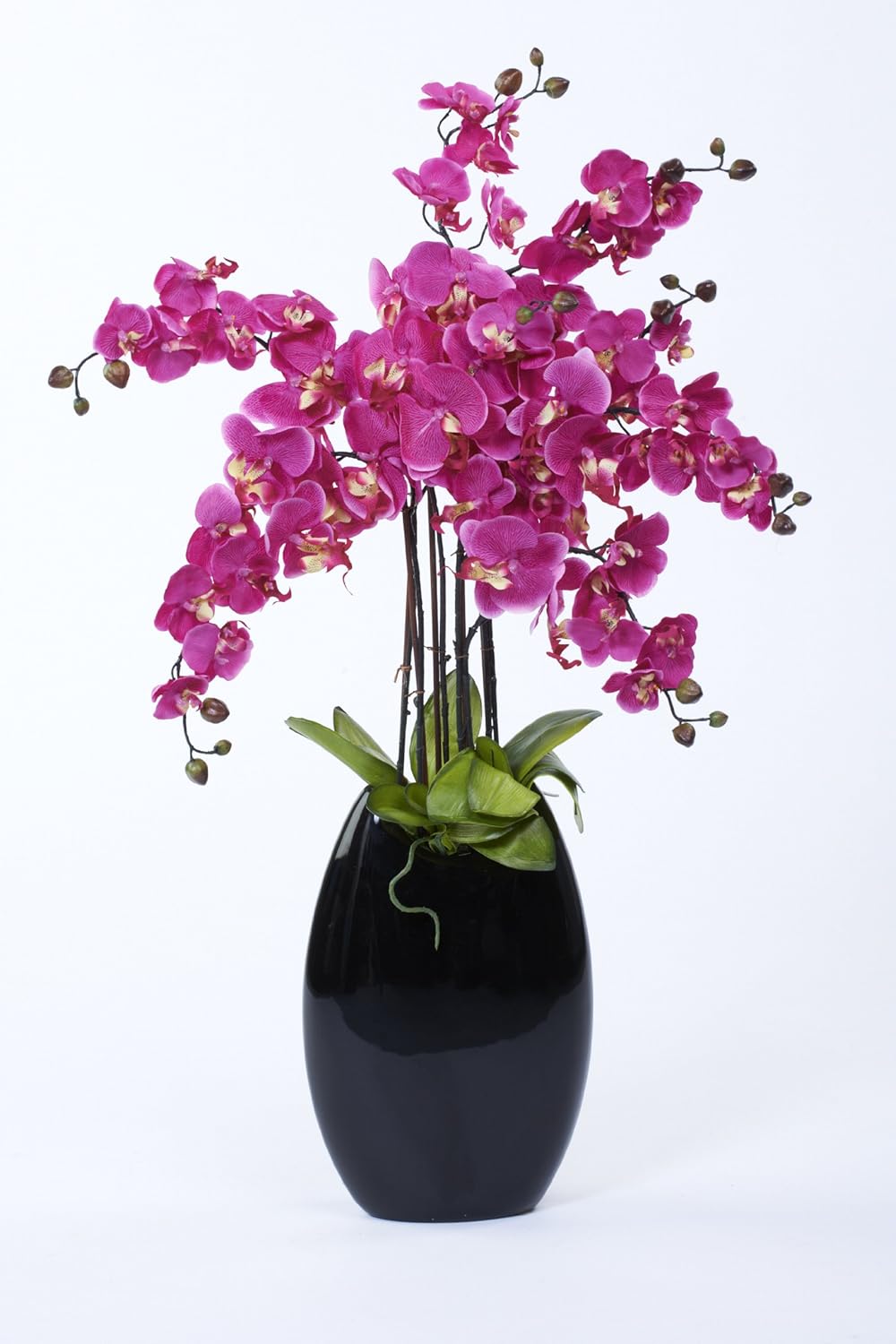 Amazon.com: Artificial Cerise Pink Orchid set in a Black Vase. A modern ...