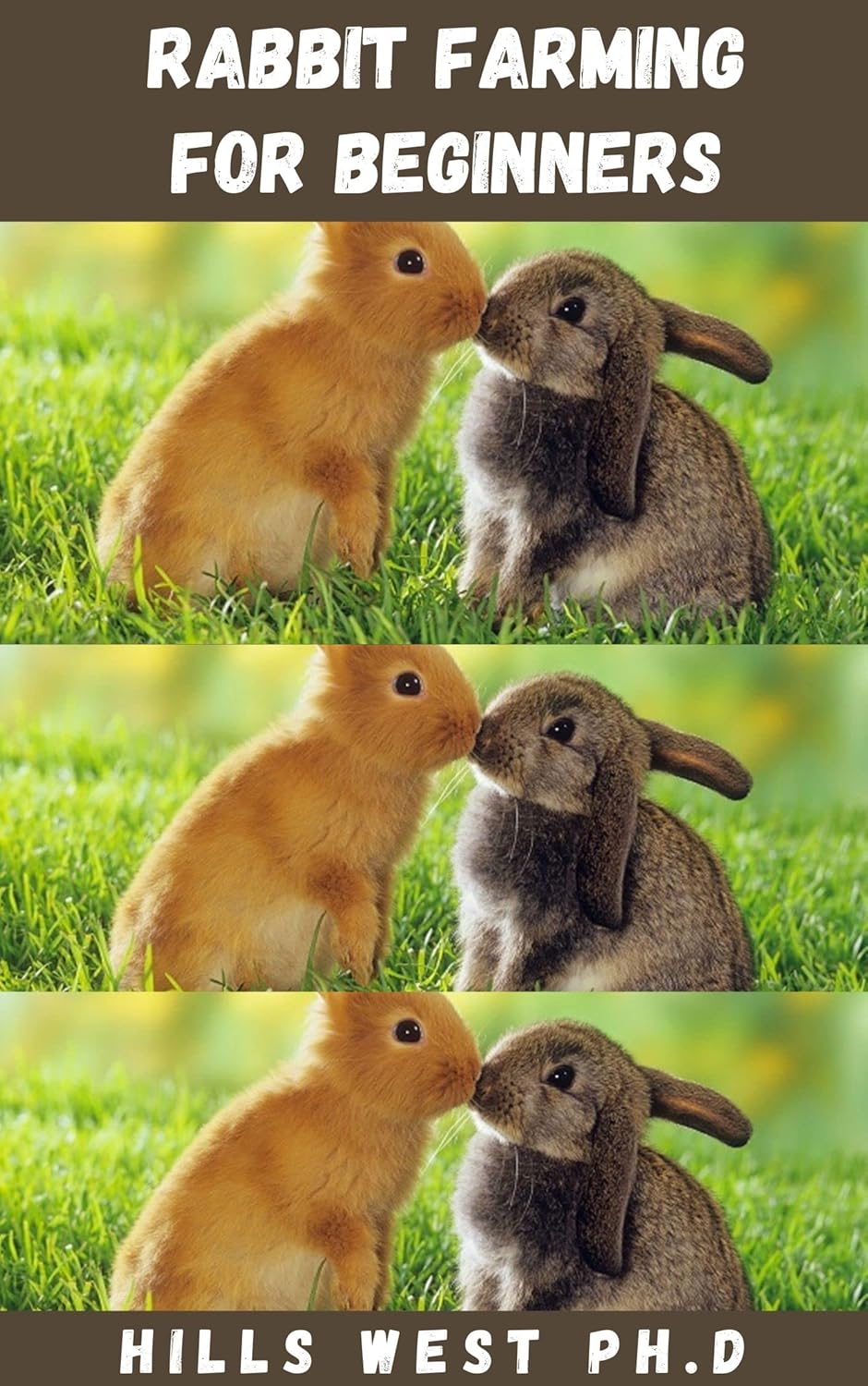 RABBIT FARMING FOR BEGINNERS : Step By Step Guide To Breeding Rabbit ...