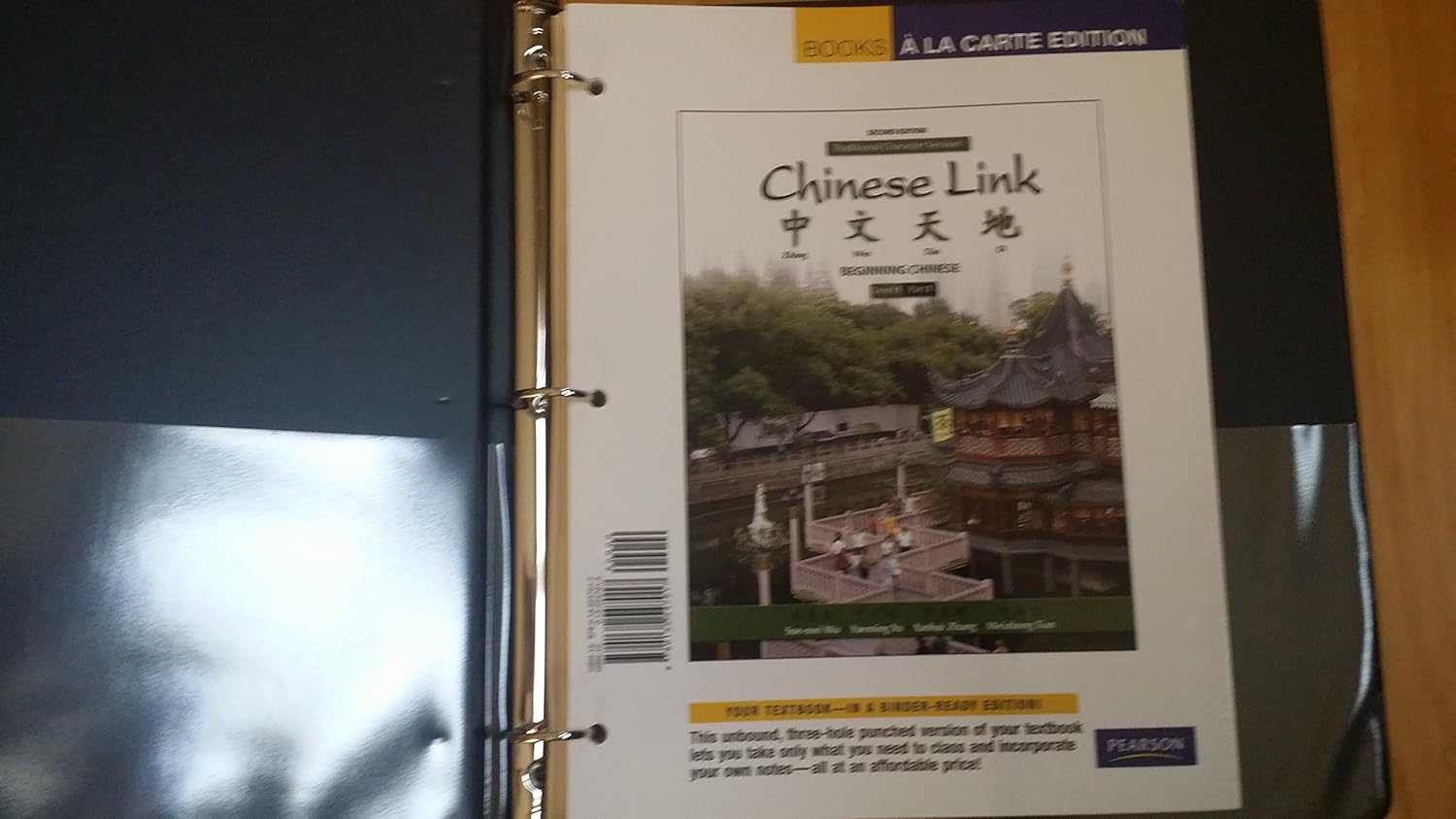 Buy Chinese Link: Beginning Chinese, Traditional Character Version ...