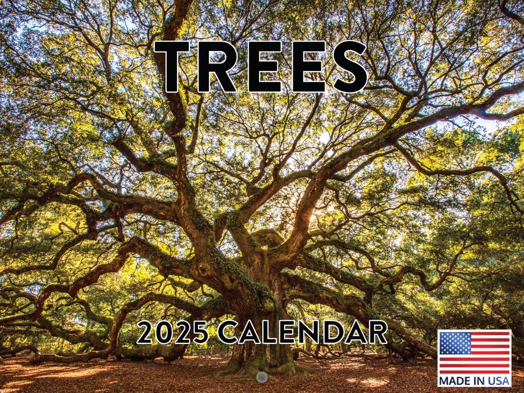 Amazon.com: Tree Calendar 2025 Forest Nature Monthly Wall Calender 12 ...