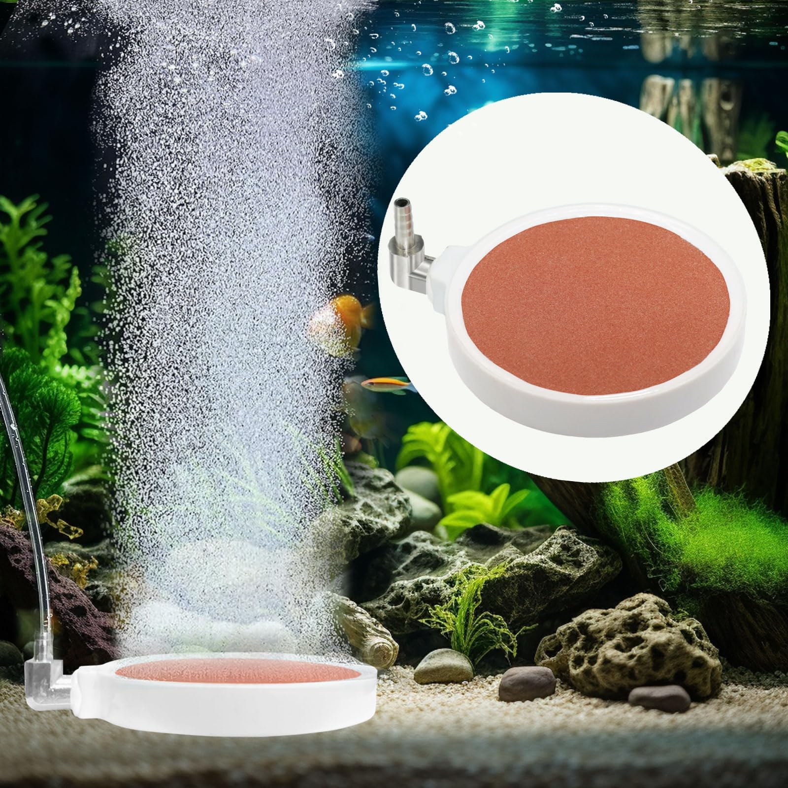 Amazon.com : BLOTFISH Fish Tank Bubble Air Stones for Aquarium, 3.2 ...