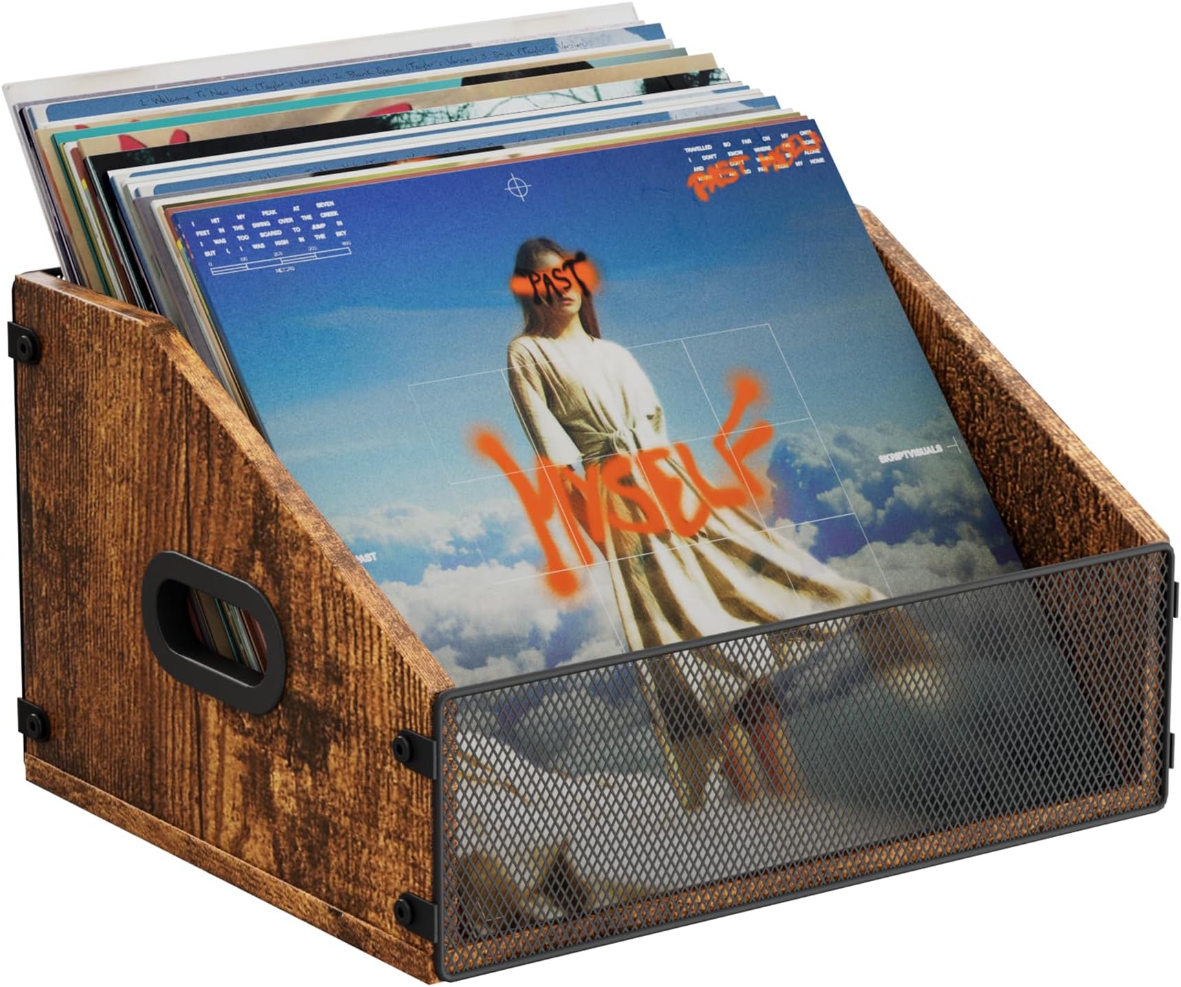 Amazon.com : Dunatou Vinyl Record Storage, Record Holder for Vinyl LP ...