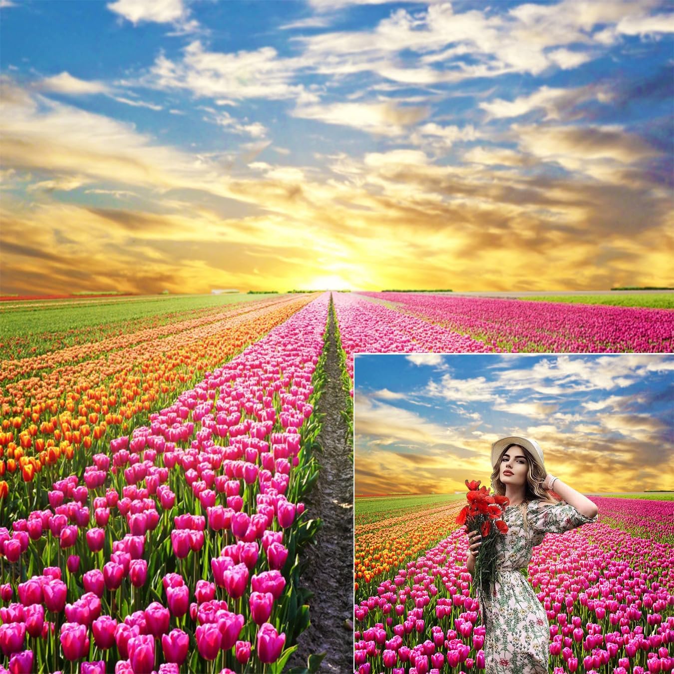 Amazon.com : Spring Backdrop for Photography Pink Tulip Nature Scenery ...