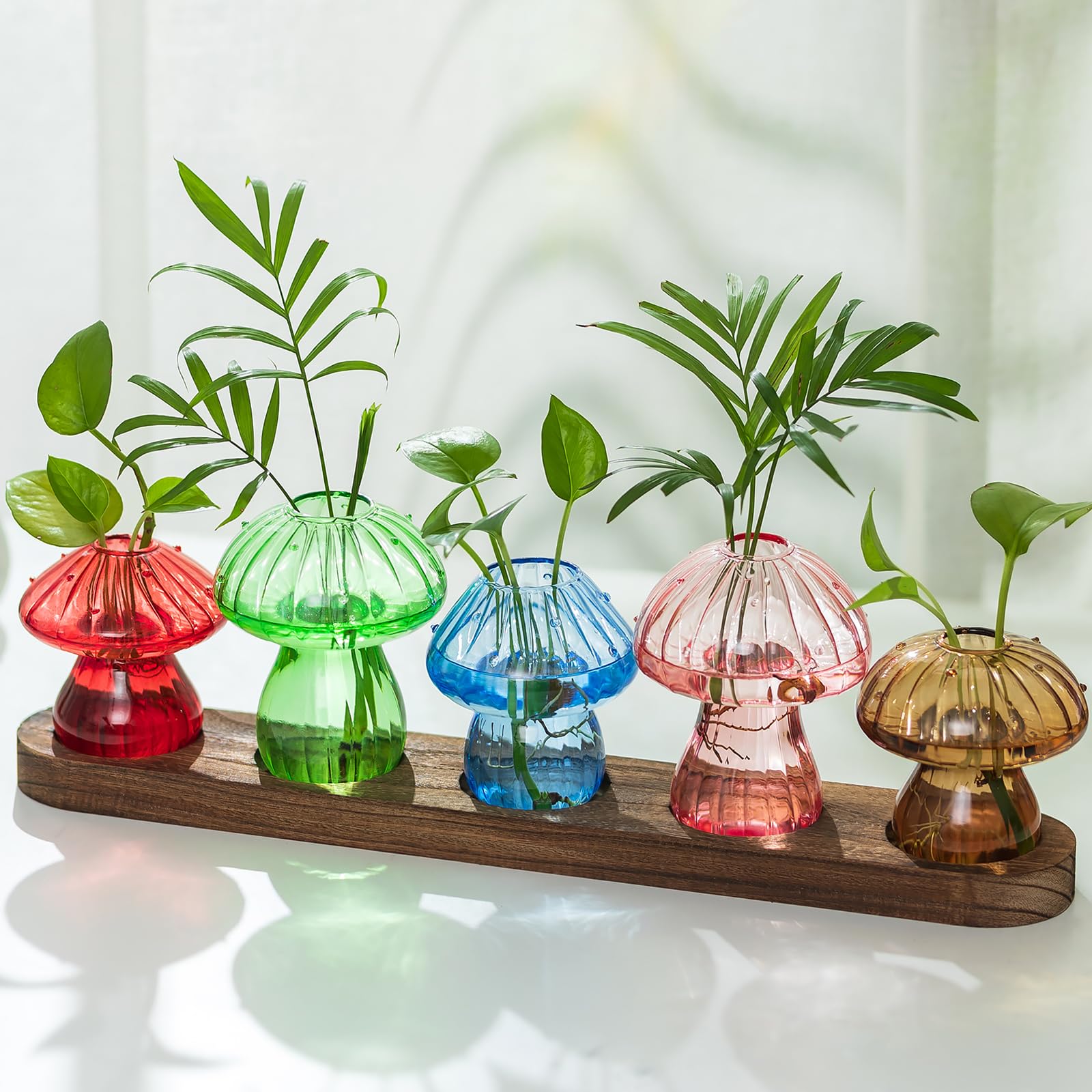 Amazon.com: Glass Propagation Station for Plant: Mushroom Planter with ...