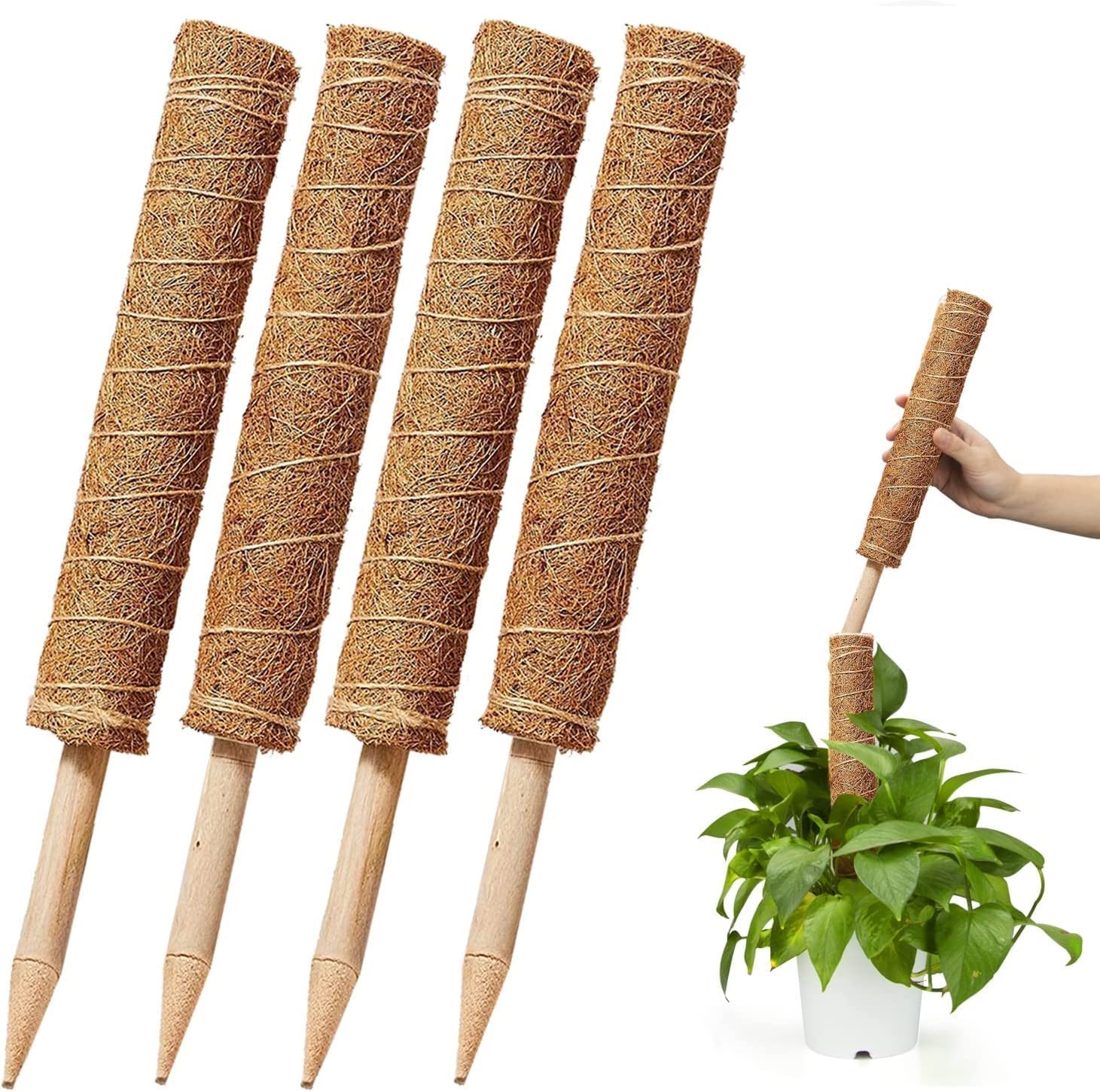 FOX & FERN Moss Stick/Coir Pole for Climbing Plants | Coco Coir Moss ...