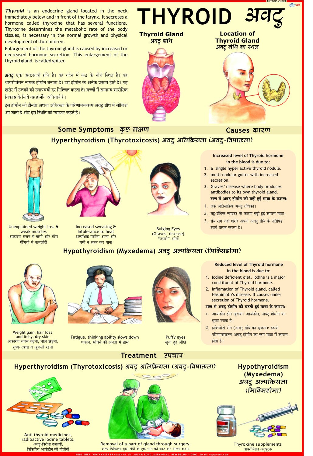 Thyroid Chart : Disease Charts, Vidya Chitr Prakashan: Amazon.in: Books