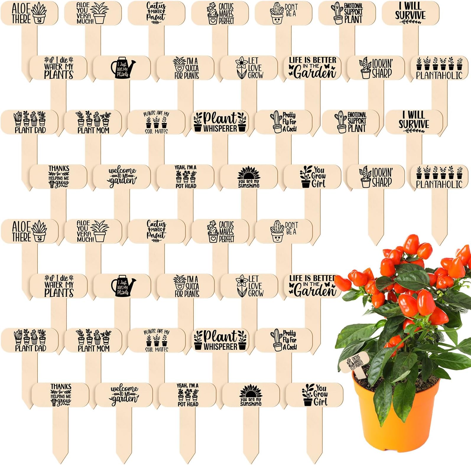 Amazon.com: Sassy Stakes Funny Plant Markers for Garden Set of 10 ...