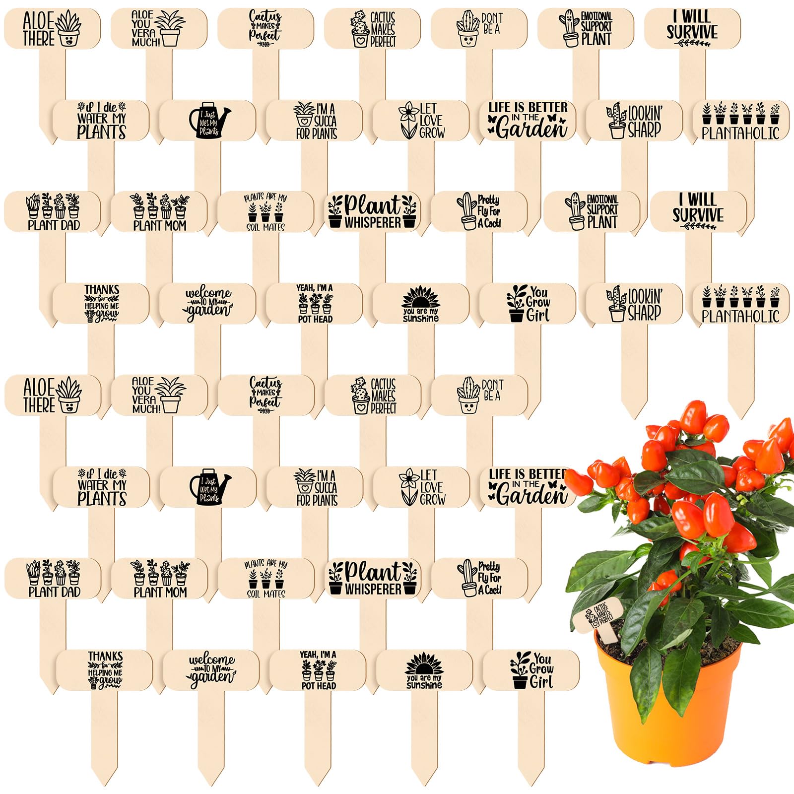 Snapklik.com : Wenqik 48 Pcs Funny Wooden Plant Markers Plants Labels ...