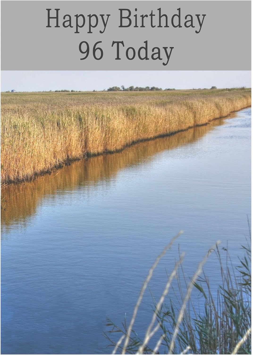 Age 96 Birthday Card : Amazon.co.uk: Stationery & Office Supplies