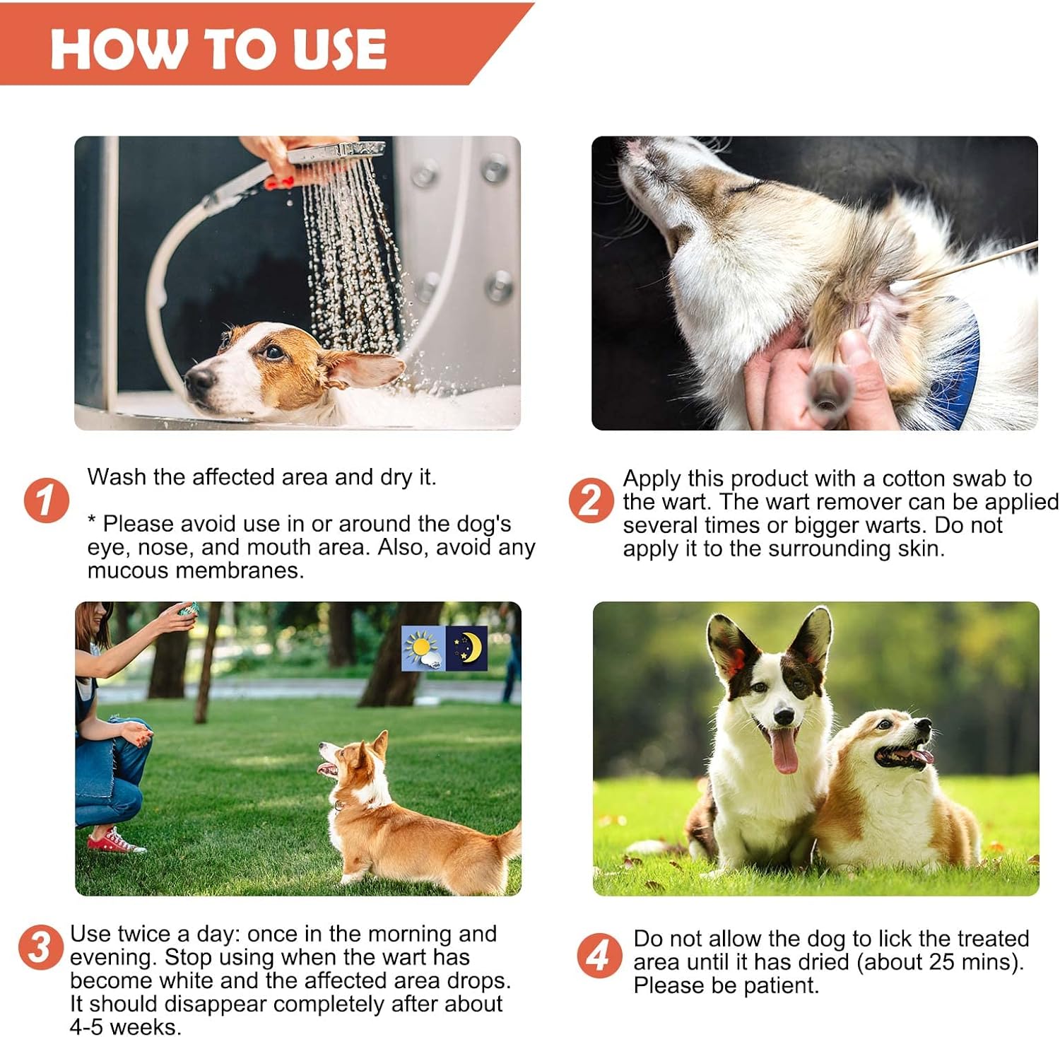 What Does A Wart On A Dog Look Like