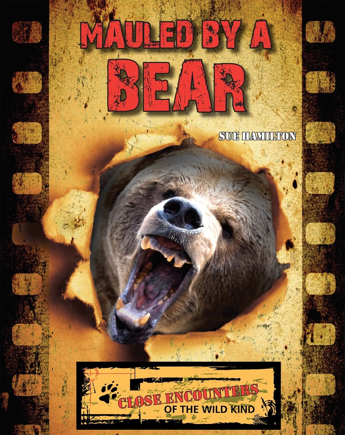 Mauled by a Bear (Close Encounters of the Wild Kind): Hamilton, Sue ...